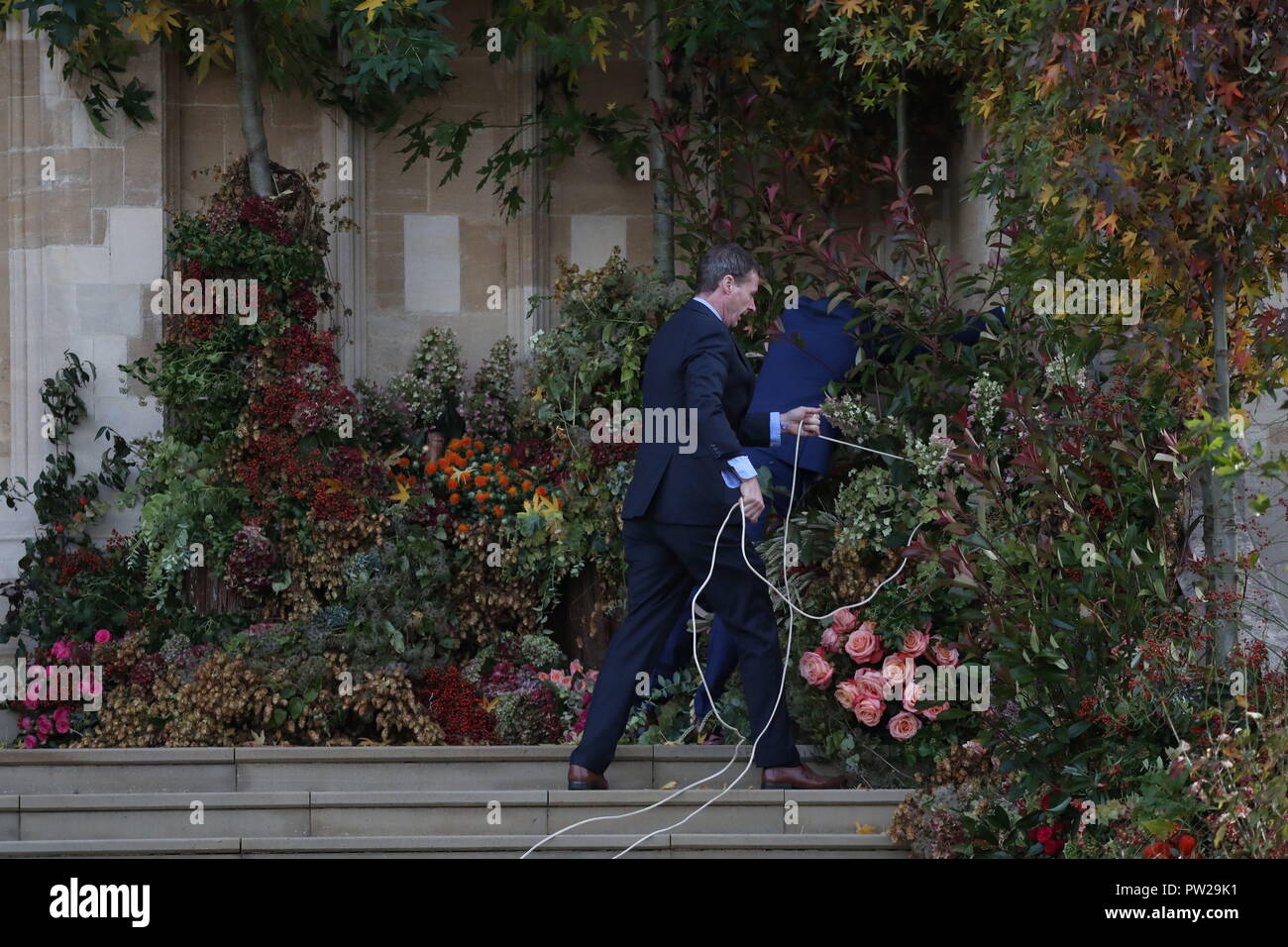 Knocked over tree hi-res stock photography and images - Alamy