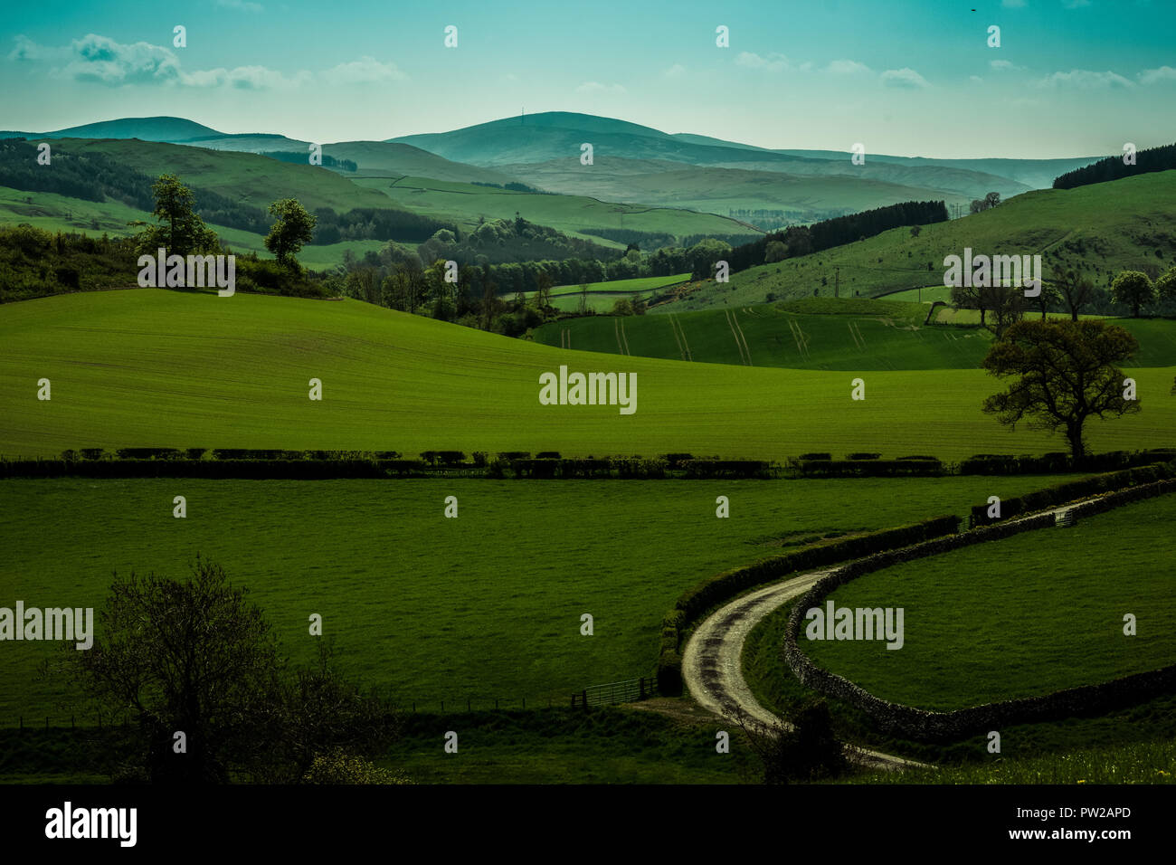 Scottish landscape with farm and river hi-res stock photography and ...