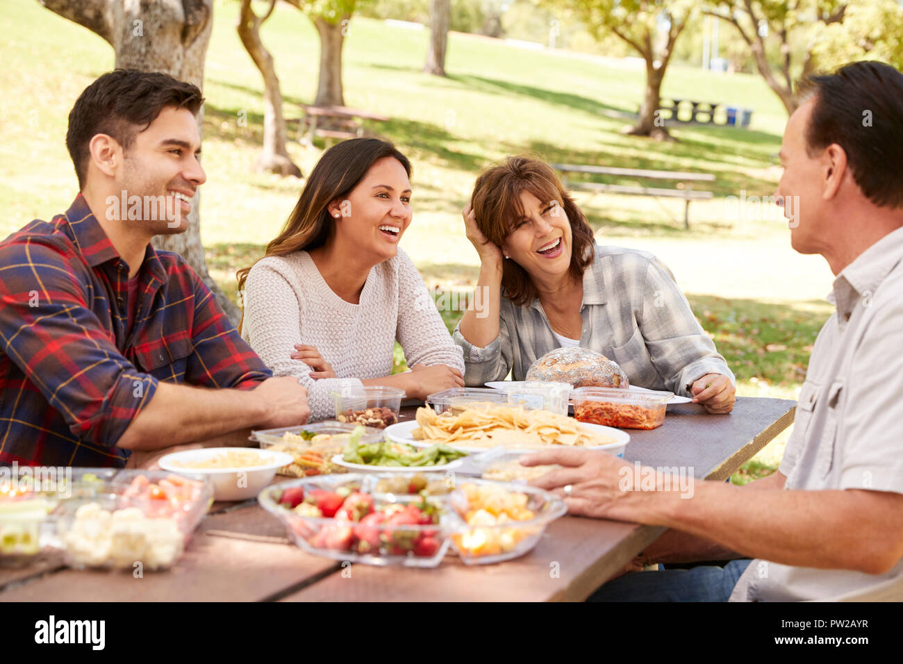African american family having picnic hi-res stock photography and ...