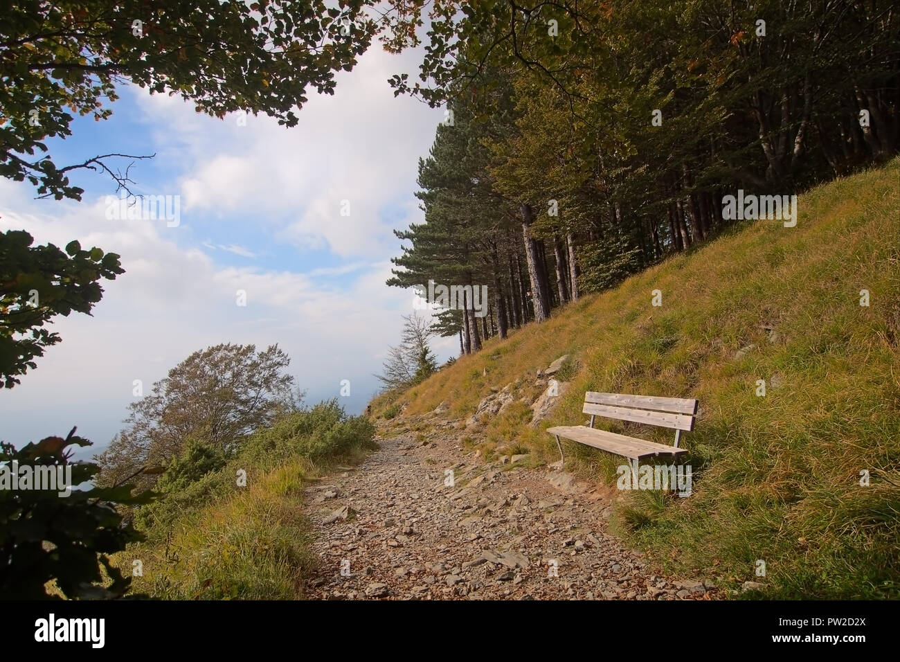 Wayside wooden bench, near path and horizon with blue sky. Tranquil ...