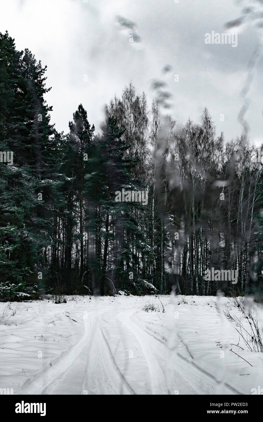 Rain drops on glass window, with background of forest in winter Stock ...