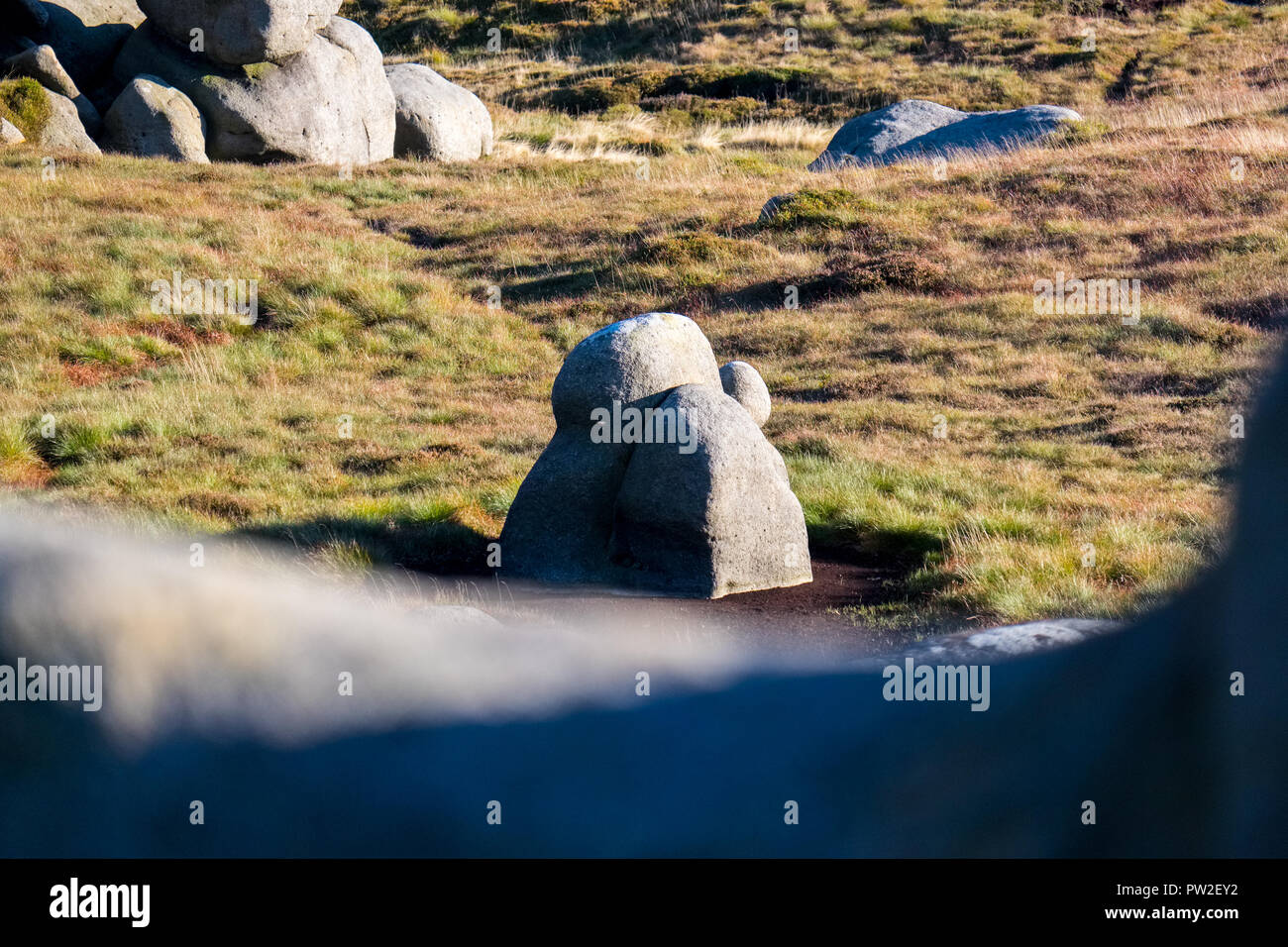 Weathered gritstone boulders at The Woolpacks on Kinder Scout in the ...