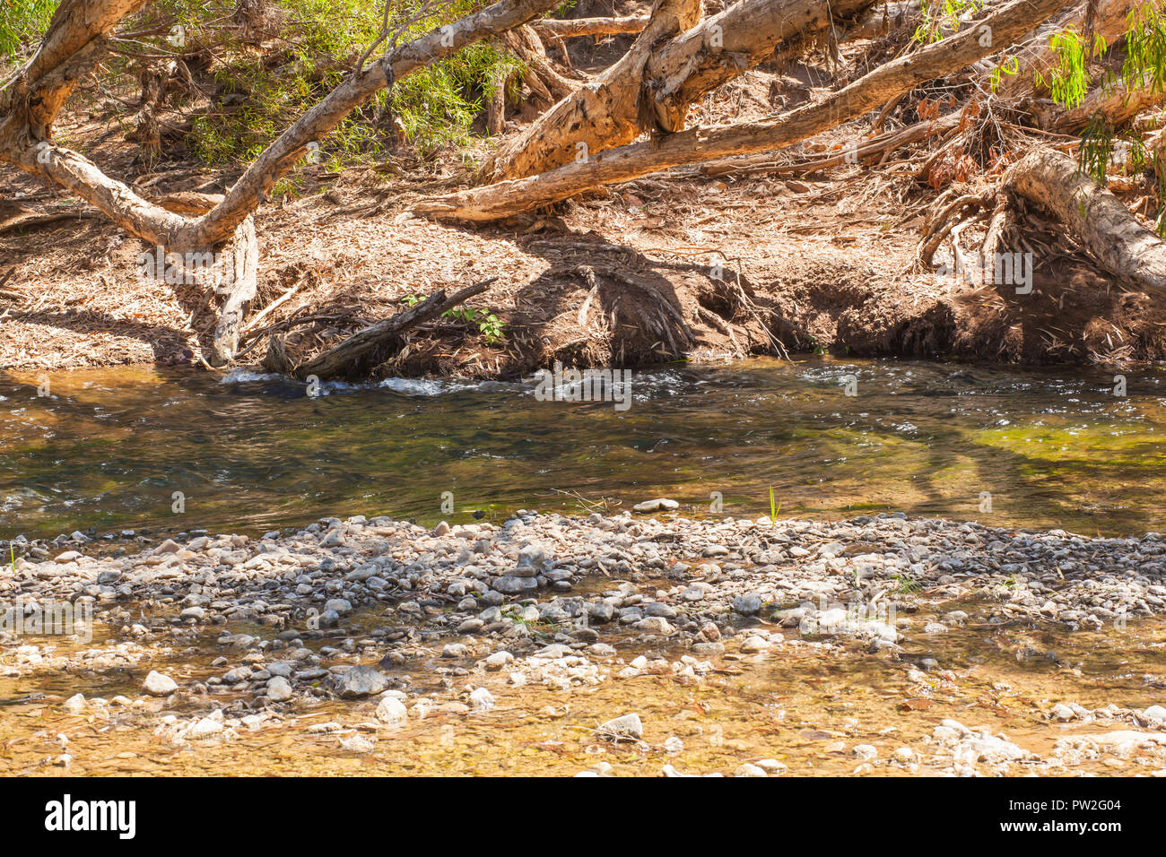 Gregory river hi-res stock photography and images - Alamy