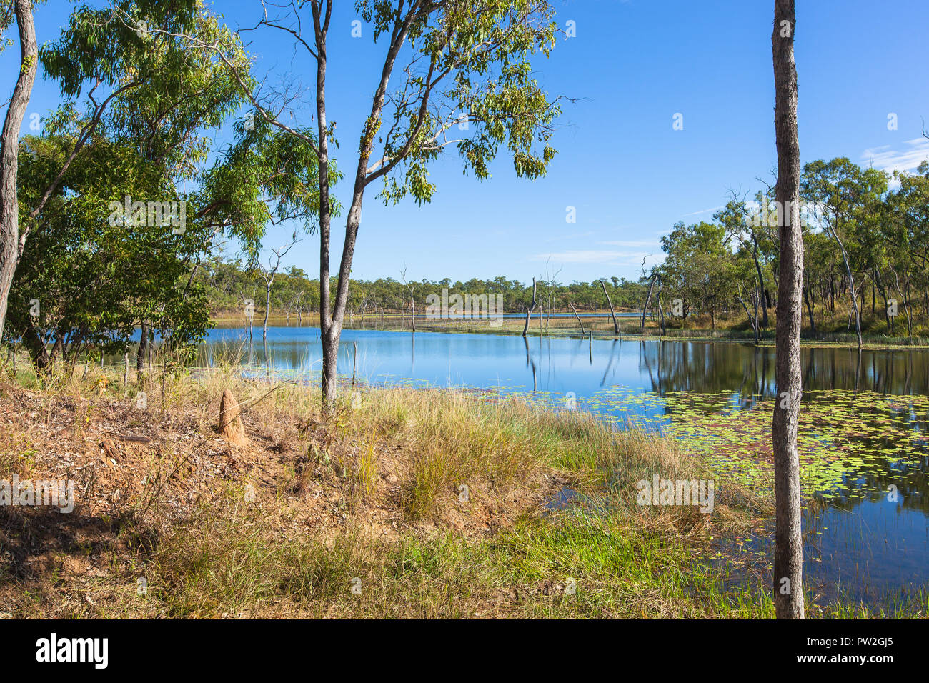 Whites creek road hi-res stock photography and images - Alamy