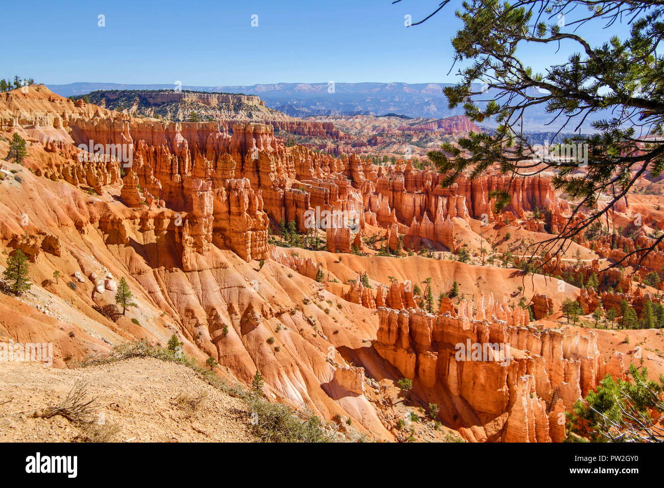 Bryce Canyon National park in Utah Stock Photo - Alamy