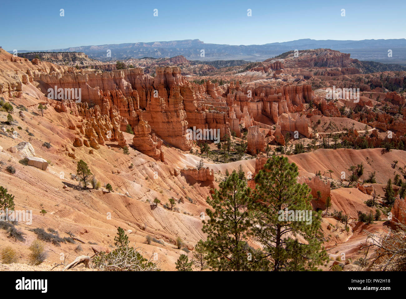 Bryce Canyon National park in Utah Stock Photo - Alamy