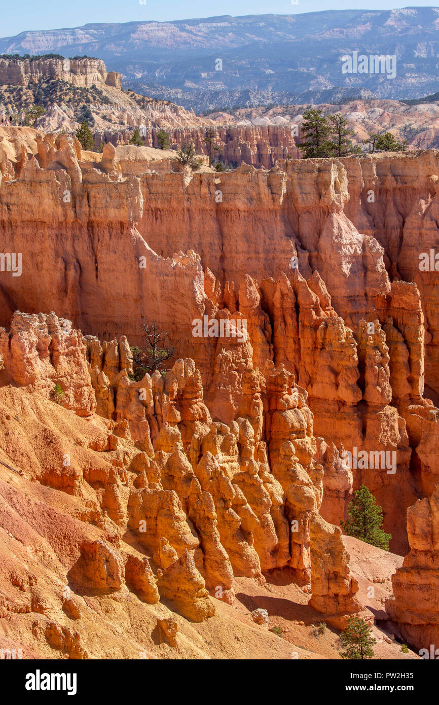 Bryce Canyon National park in Utah Stock Photo - Alamy
