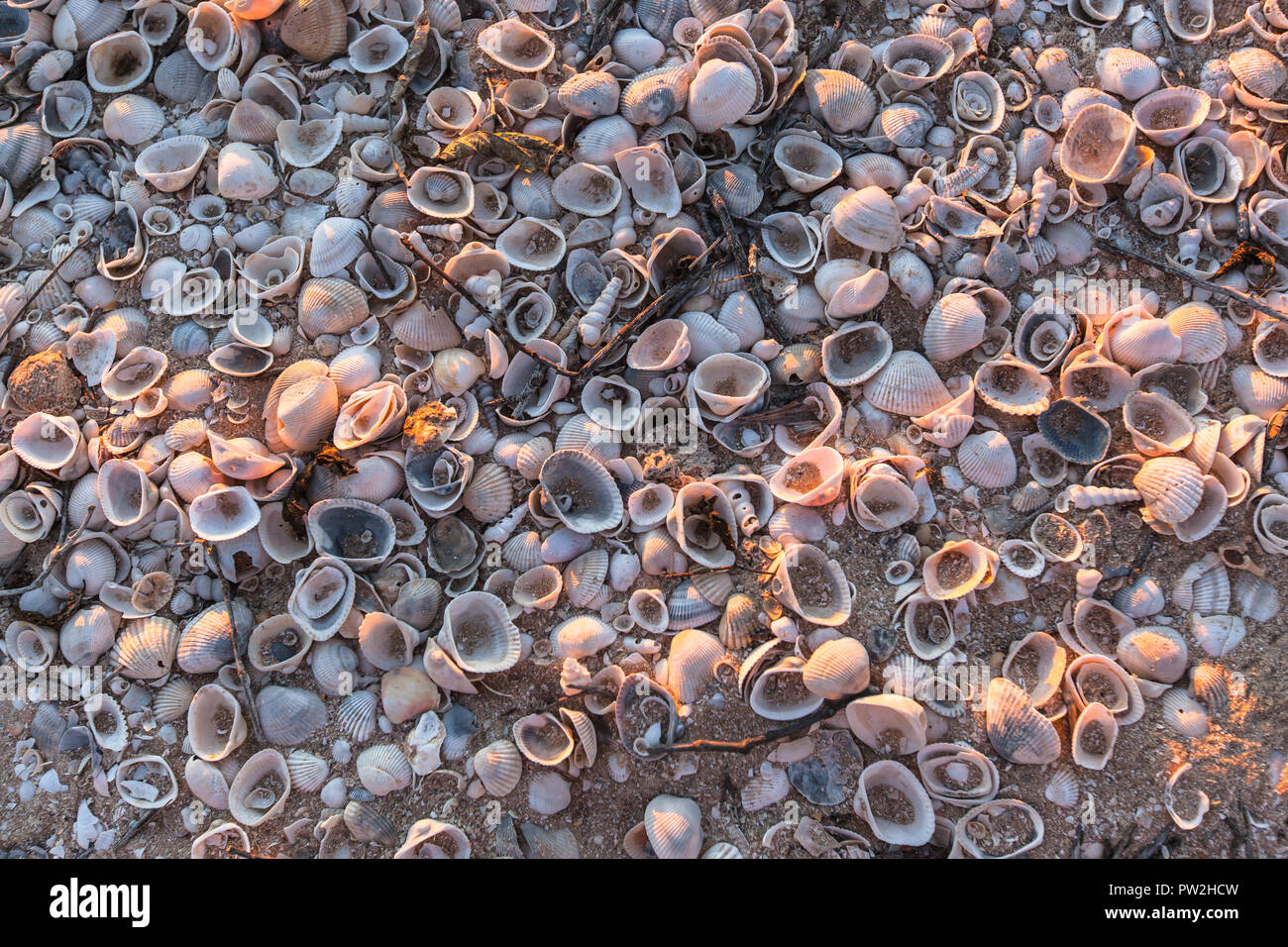 Karumba, australia hi-res stock photography and images - Alamy