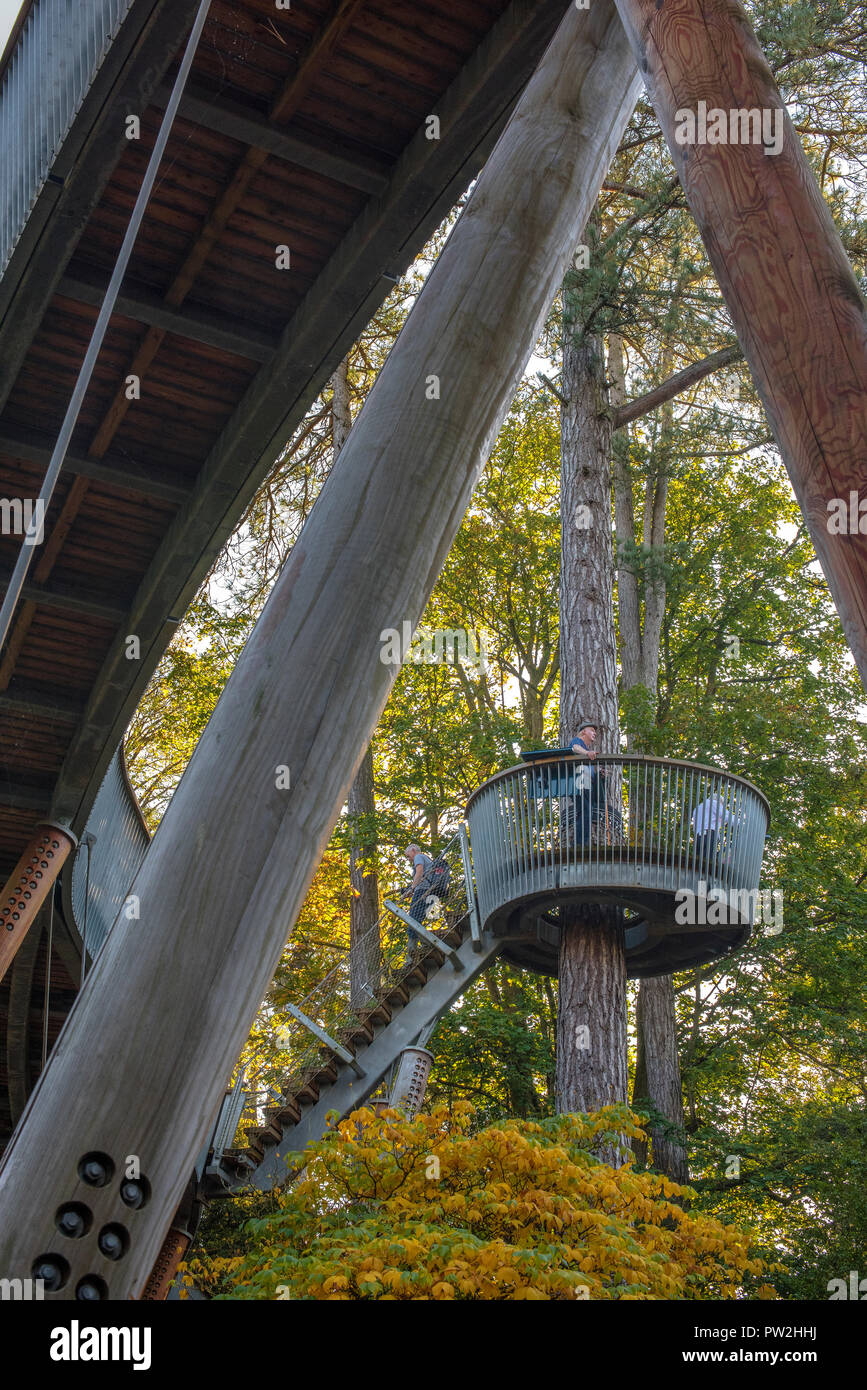 Westonbirt arboretum trees hi-res stock photography and images - Alamy