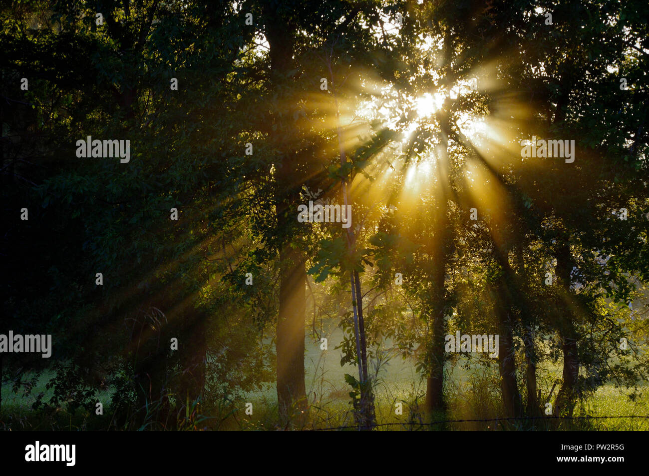 Sun is bright Stock Photo - Alamy