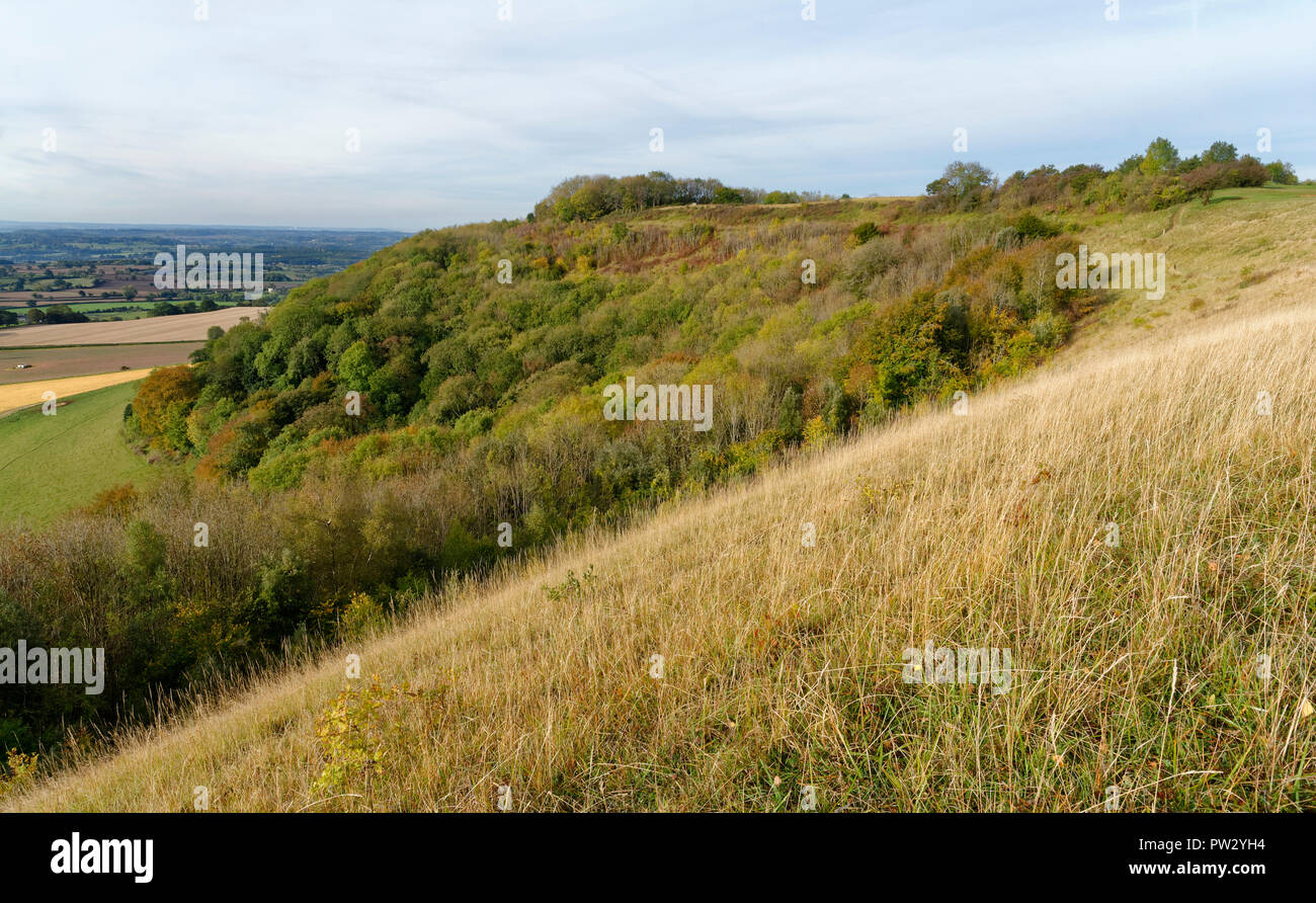 Drakestone Point Autumn colours, Stinchcombe Hill, Dursley Stock Photo ...