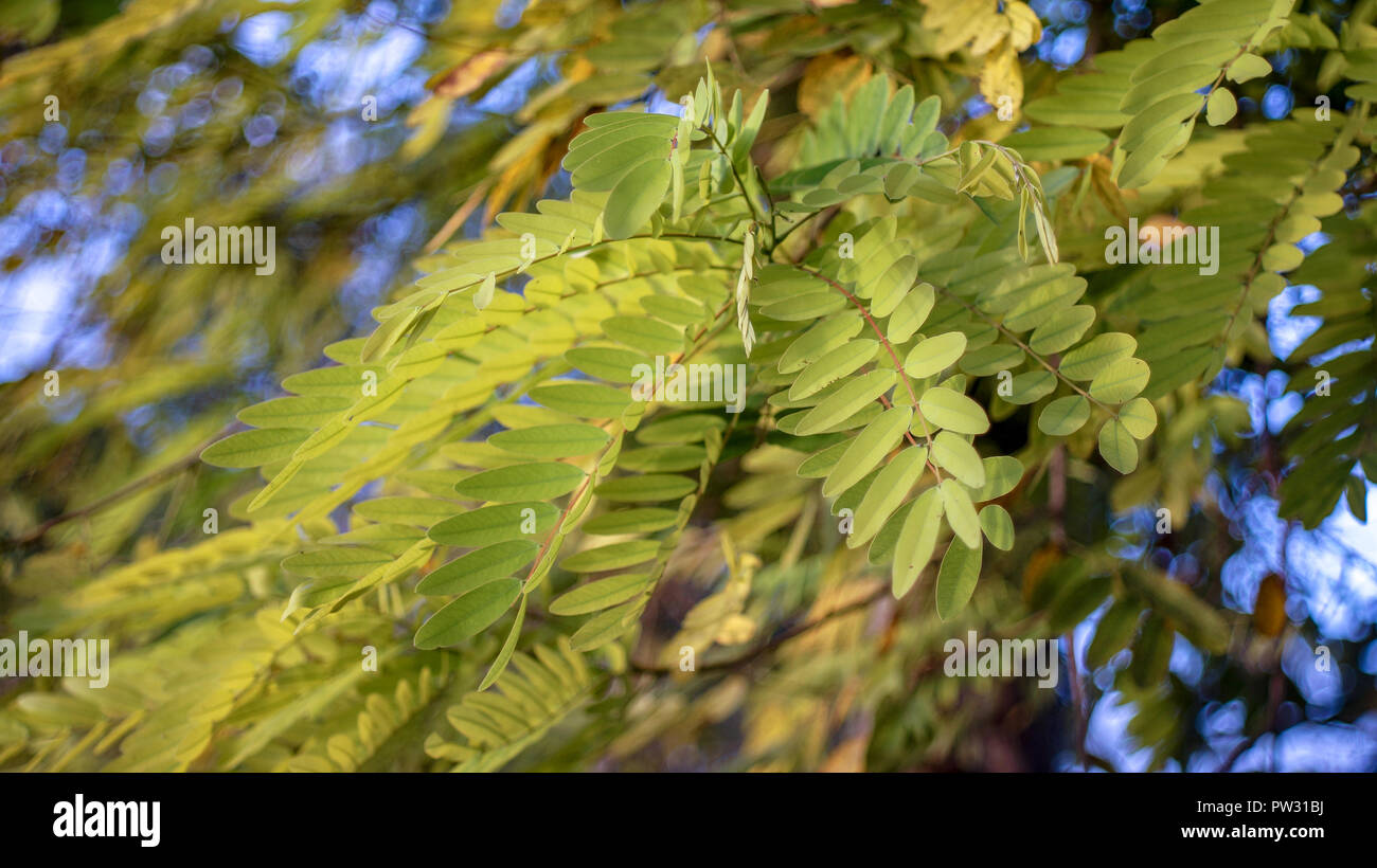 Gpscmaterial hi-res stock photography and images - Alamy