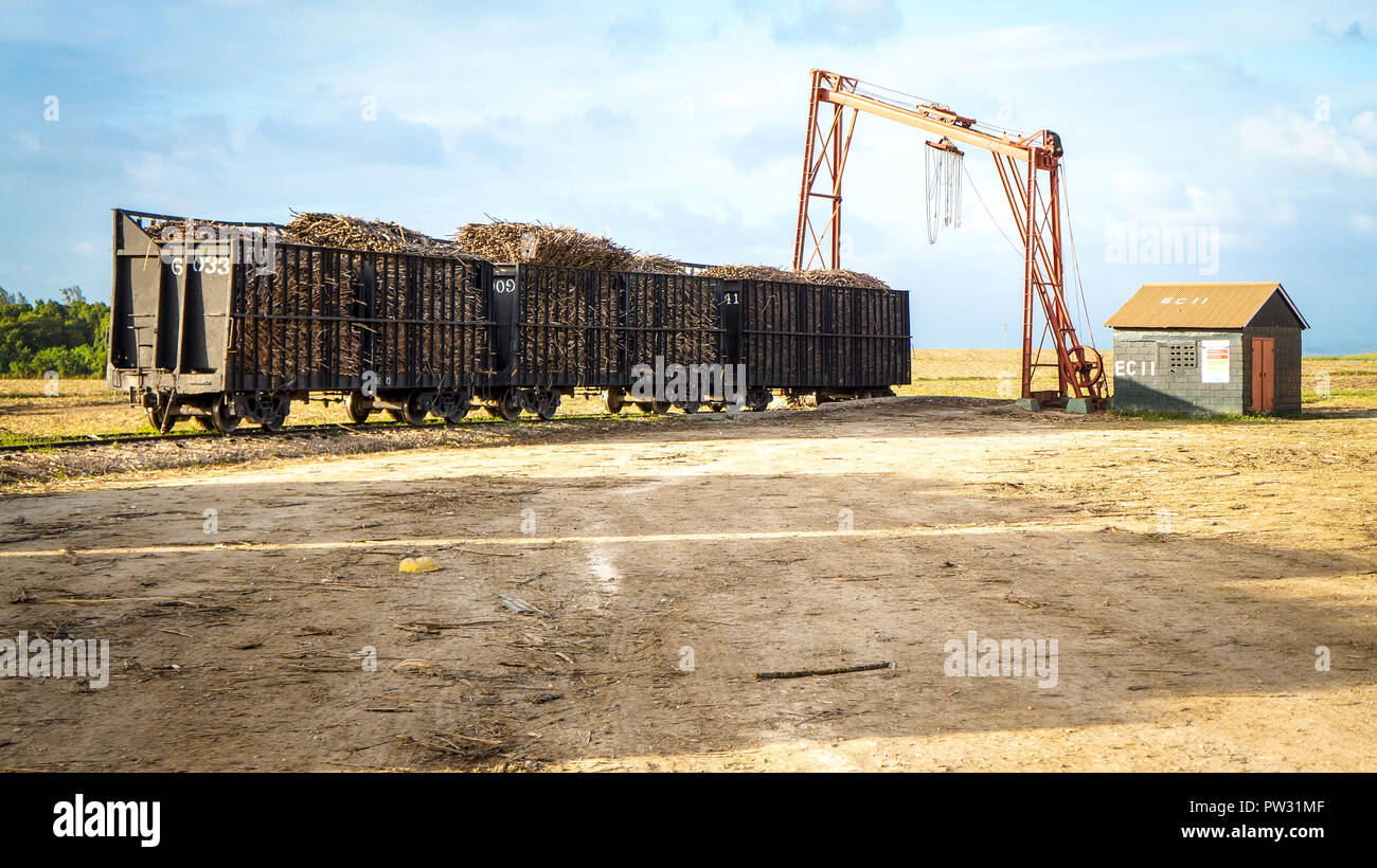 Sugarcane train hi-res stock photography and images - Alamy