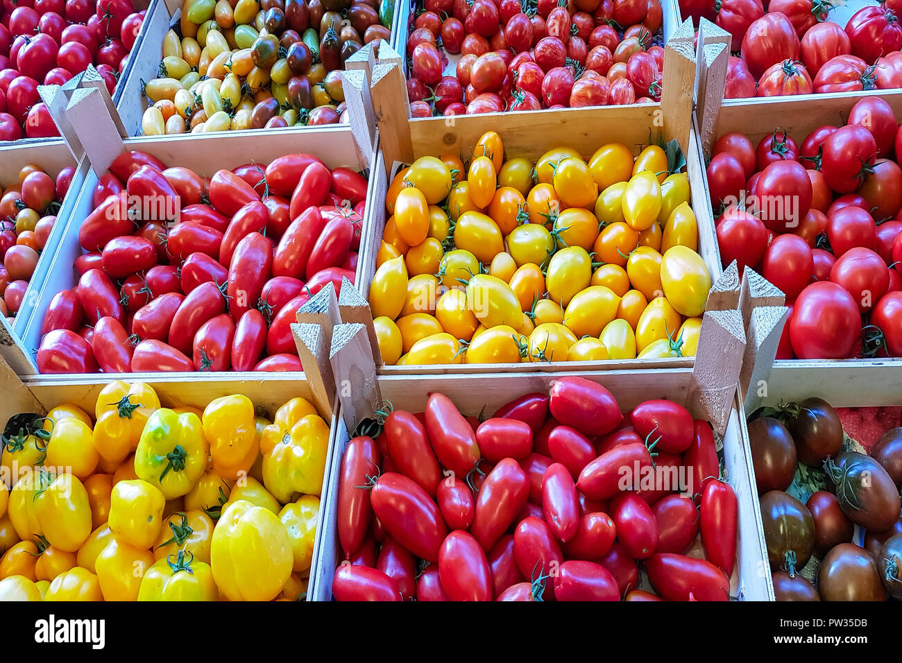 Tomato farming netherlands hi-res stock photography and images - Alamy