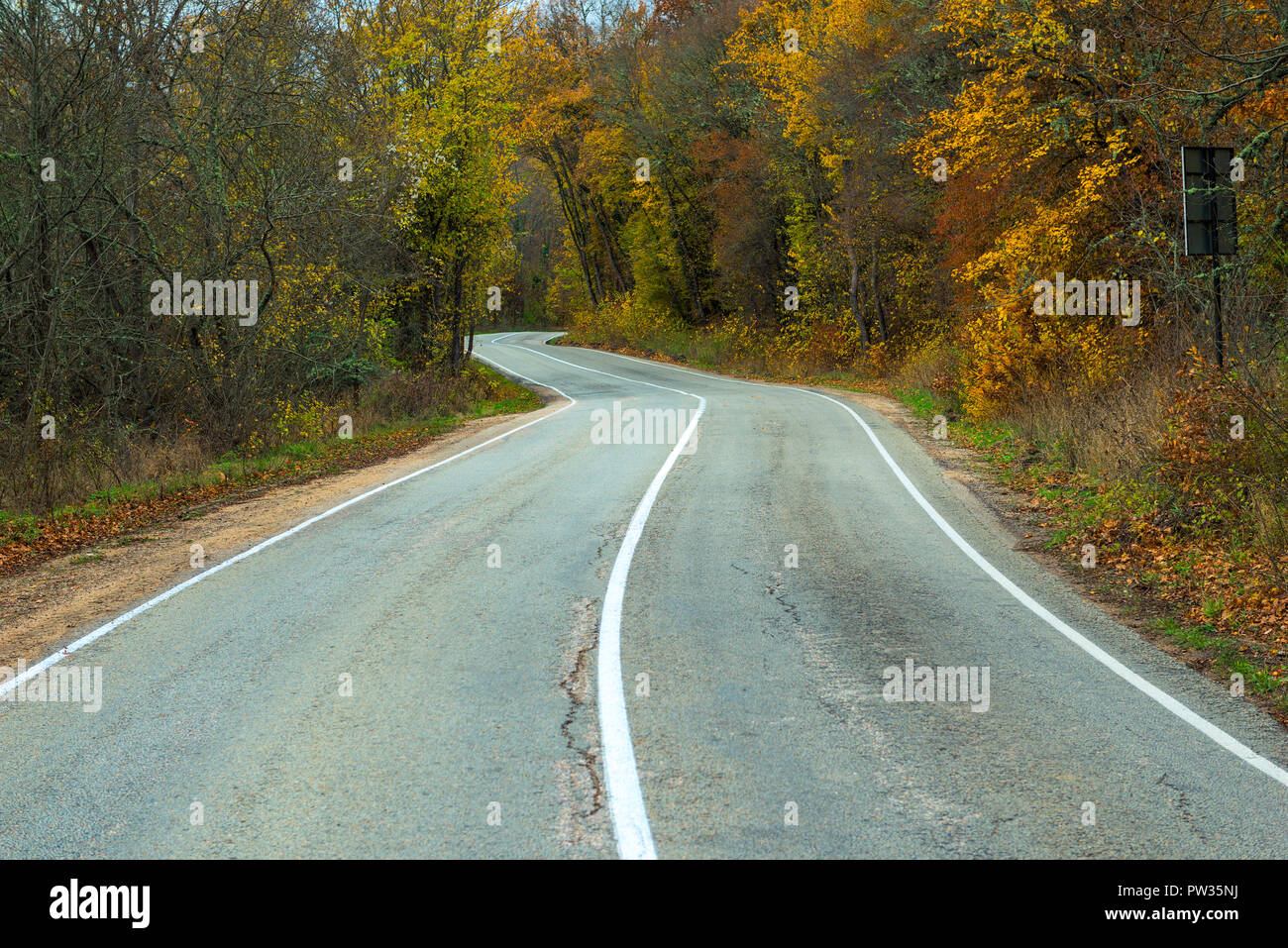 Empty road in autumn forest hi-res stock photography and images - Alamy