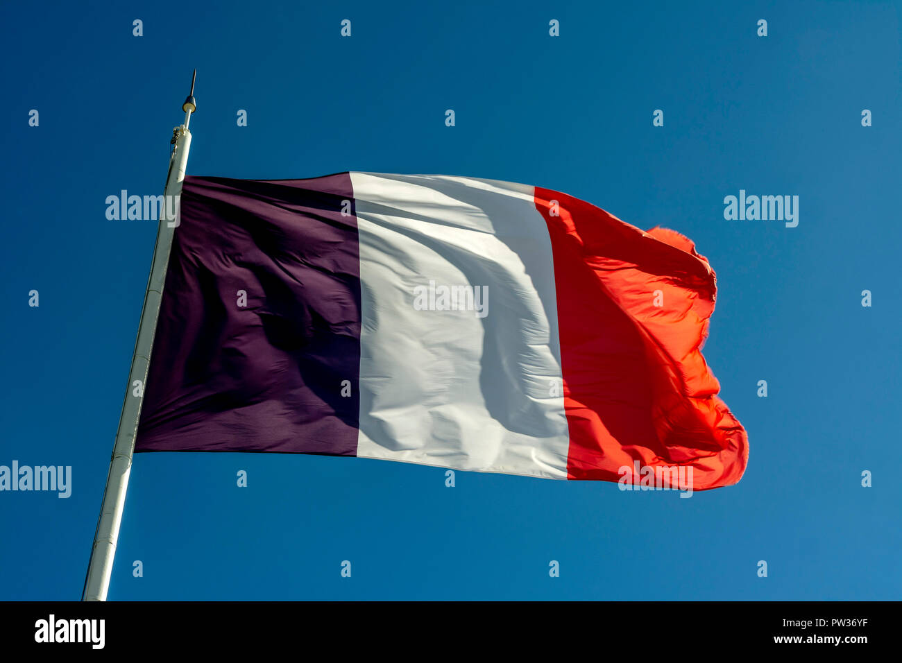 French national emblem hi-res stock photography and images - Alamy