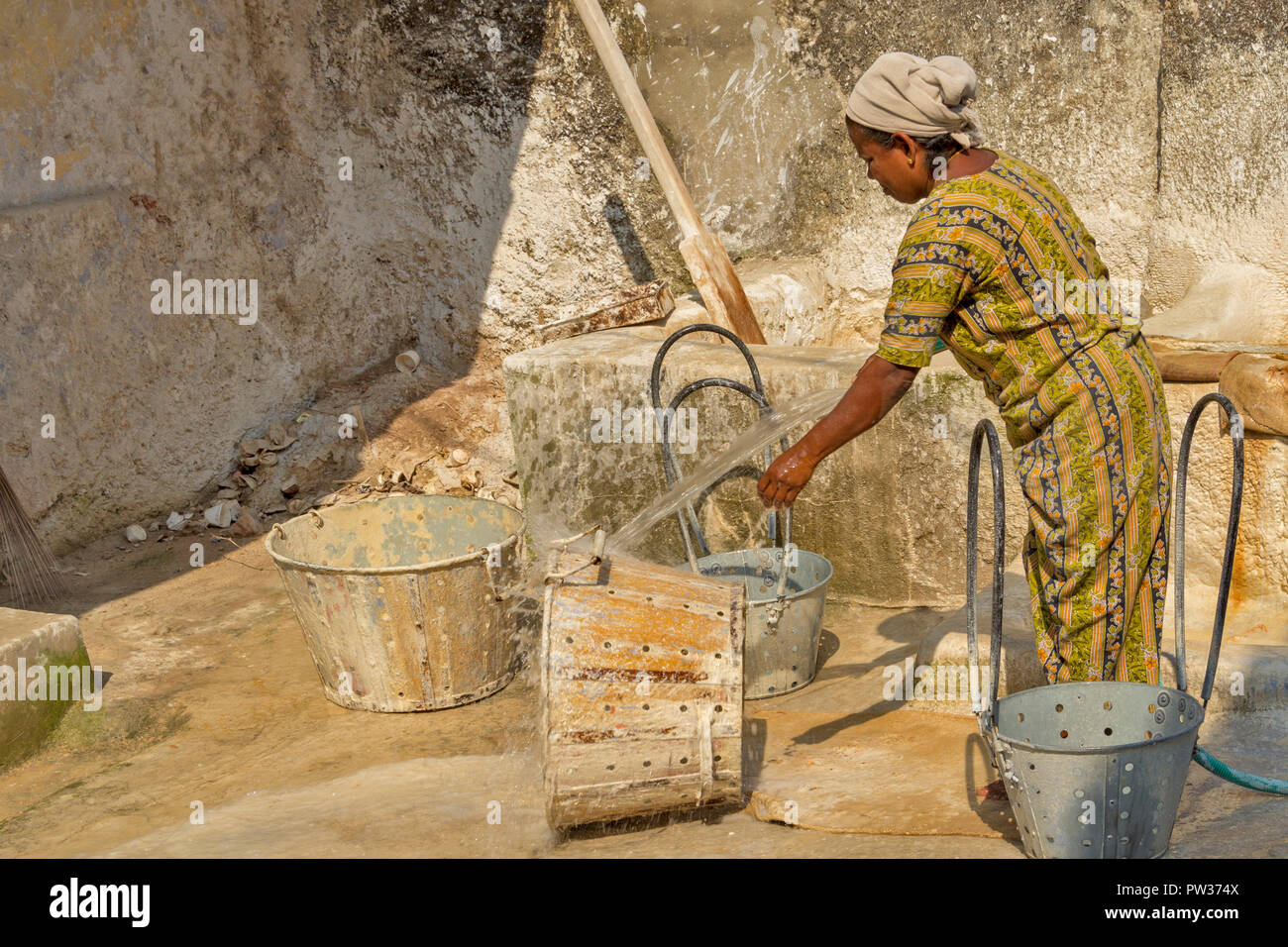 COCHIN KOCHI INDIA PREPARATION OF SUN DRIED GINGER TUBERS OR RHIZOMES ...