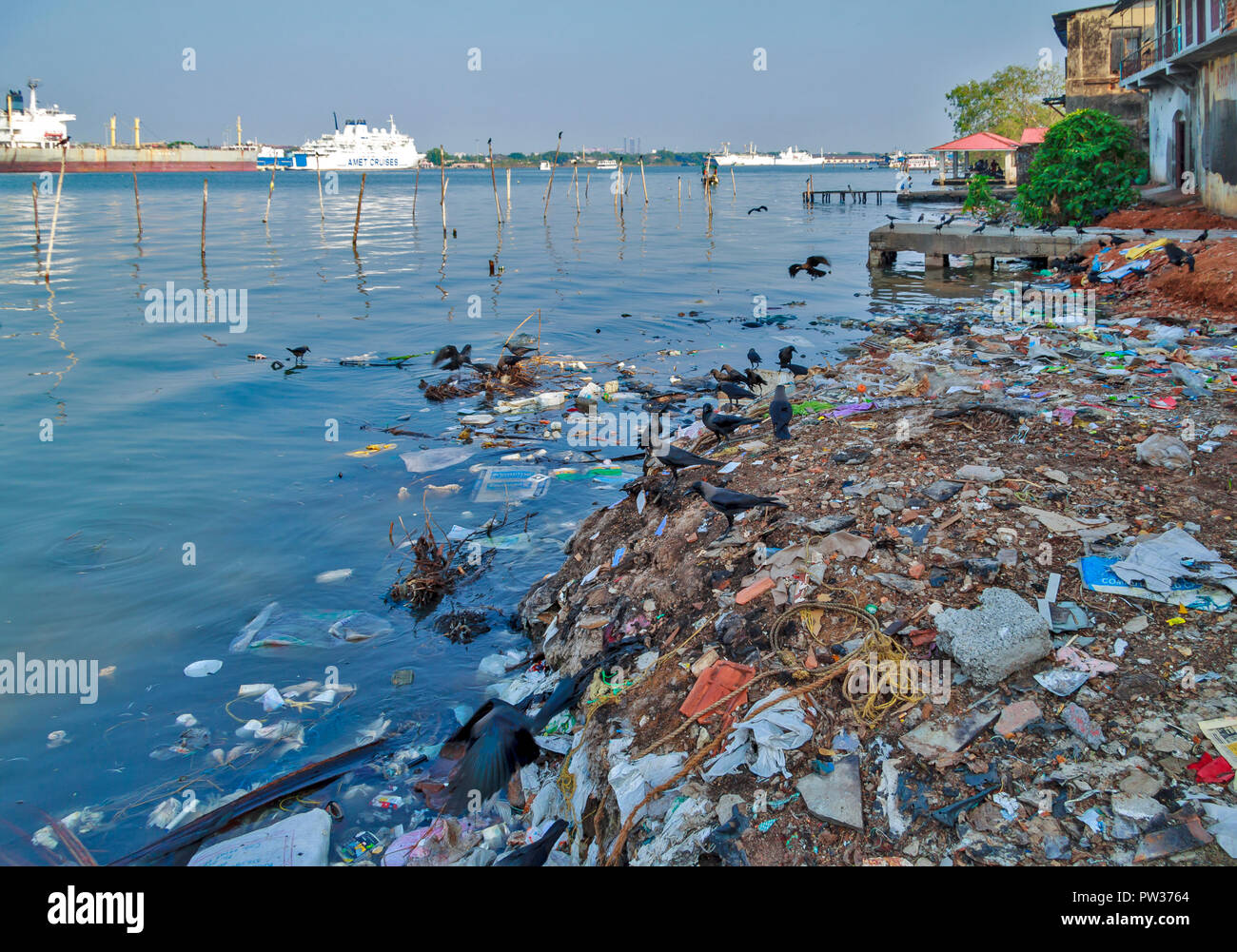COCHIN KOCHI INDIA THE PORT AND SHORELINE COVERED IN A VARIETY OF ...