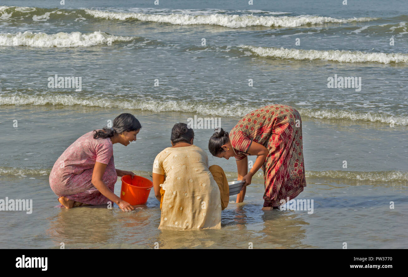 KANNUR KERALA INDIA THREE WOMEN GATHERING SHELLFISH OR SEA FOOD FROM ...