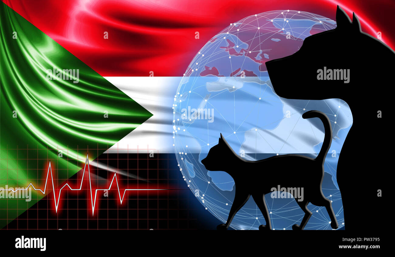 Black cat and dog on the background of the flag of Sudan. Emergency ...
