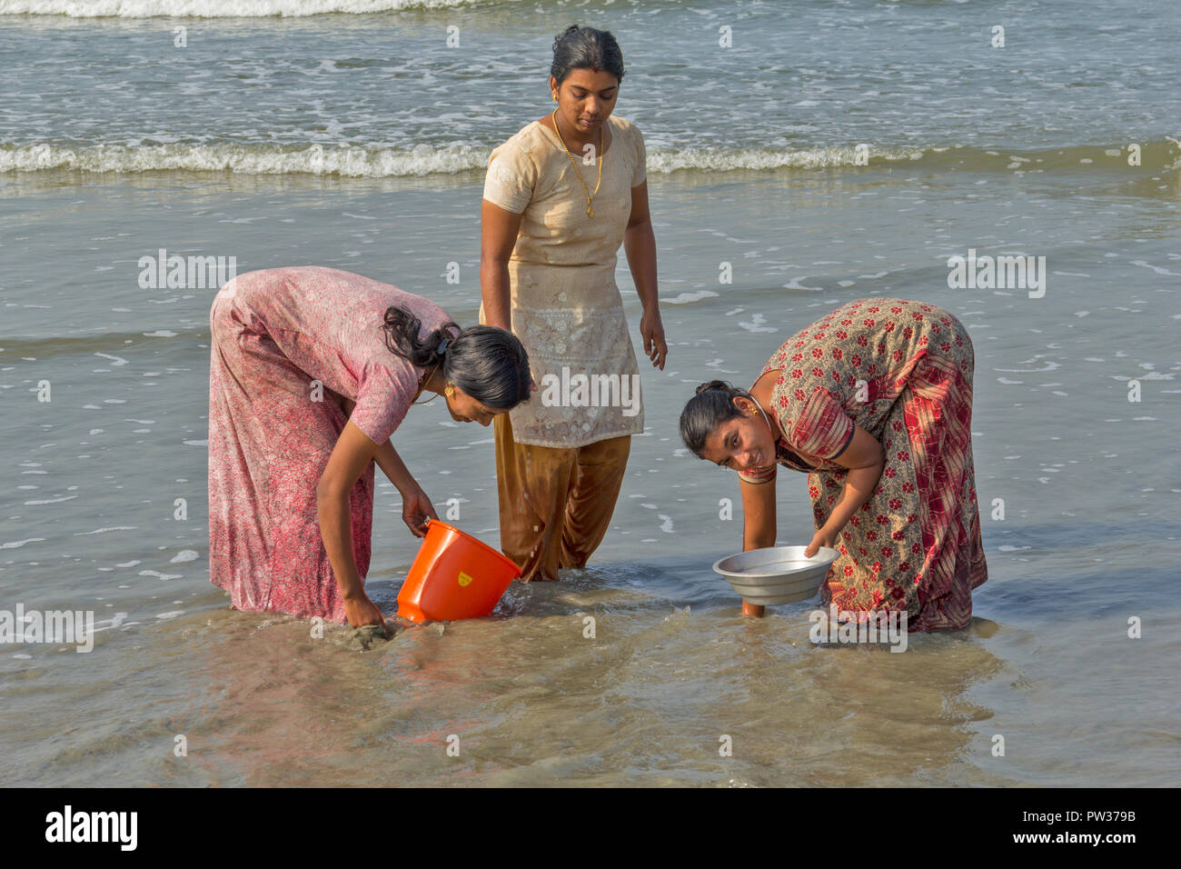 Kerala sea shells hi-res stock photography and images - Alamy