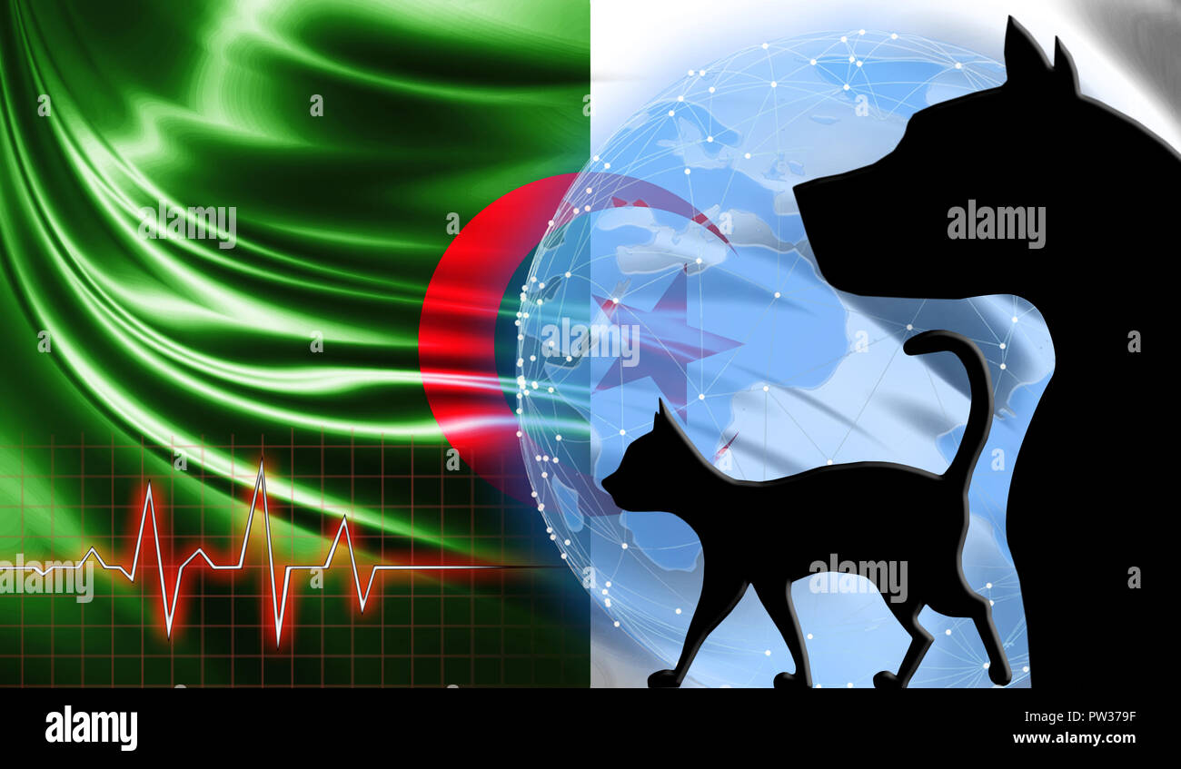 Black cat and dog on the background of the flag of Algeria. Emergency ...