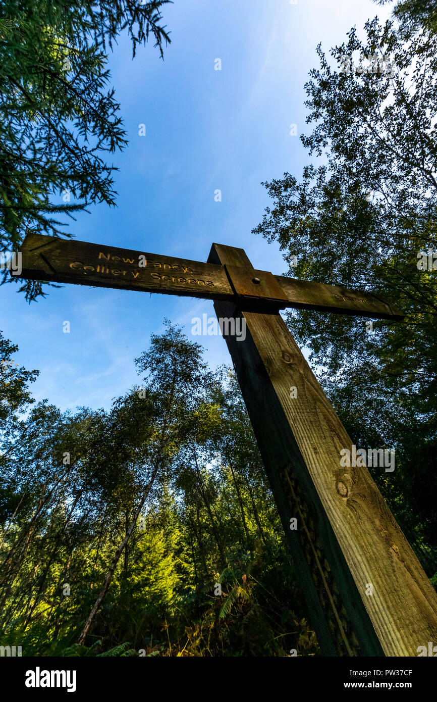 Wooden finger post for New Fancy View and the Cycleway beside the ...