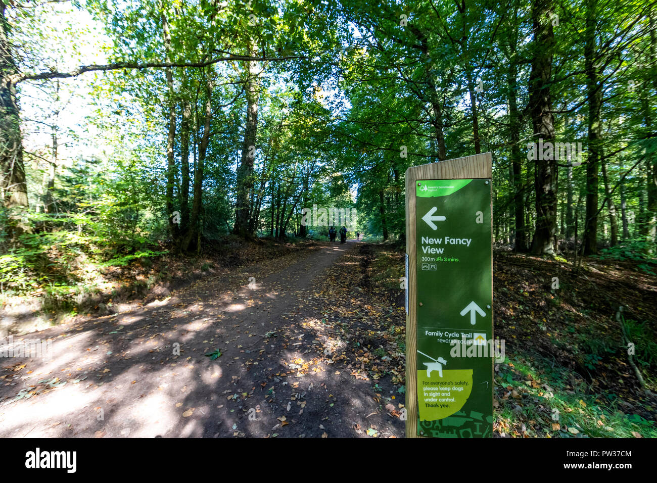 Forestry Commission sign for New Fancy View in the Forest of Dean ...