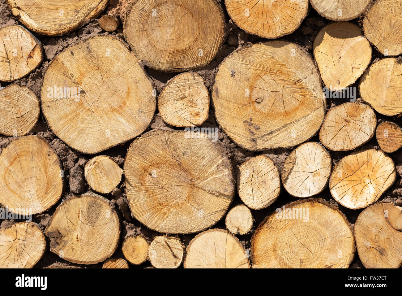Log wall background hi-res stock photography and images - Alamy