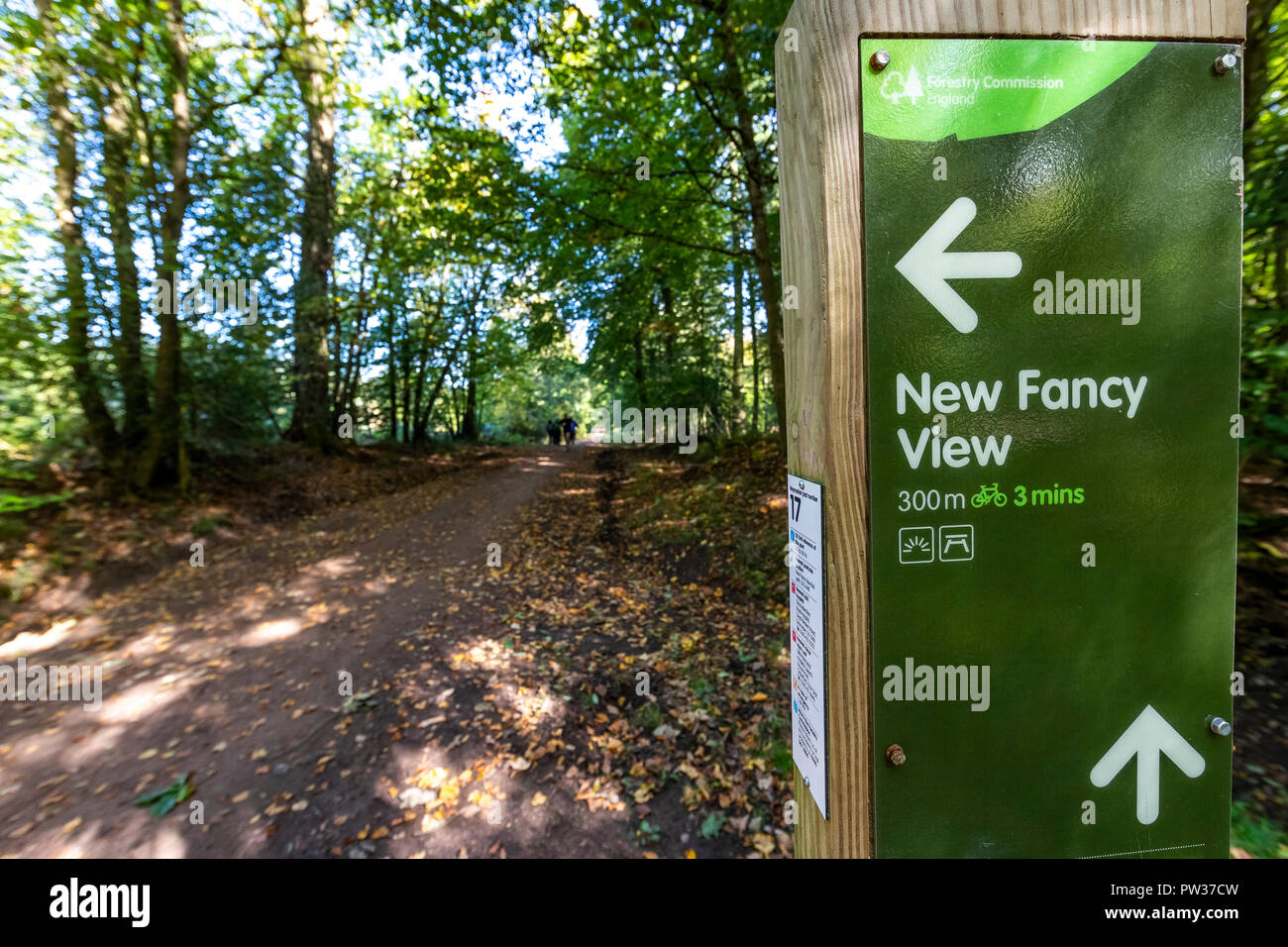 Forestry Commission sign for New Fancy View in the Forest of Dean ...