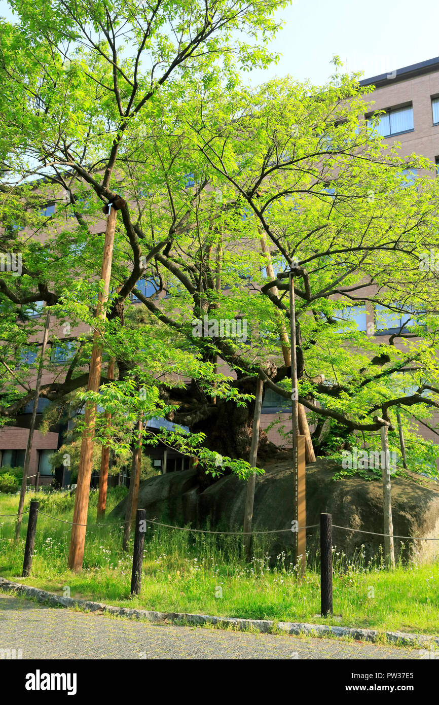 Rock breaking hi-res stock photography and images - Alamy