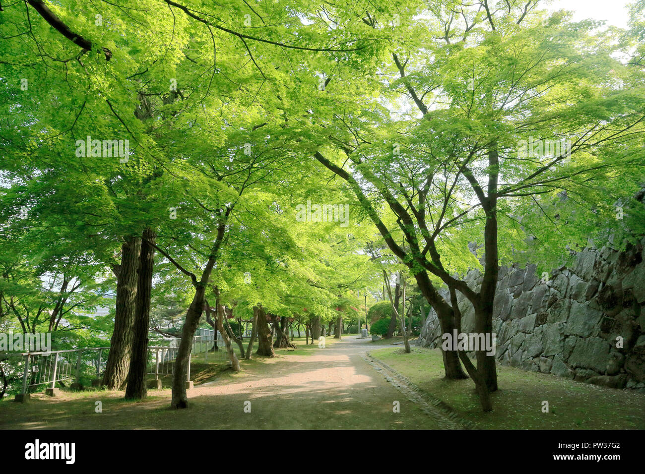 Morioka castle trace park in the fresh green season Stock Photo - Alamy