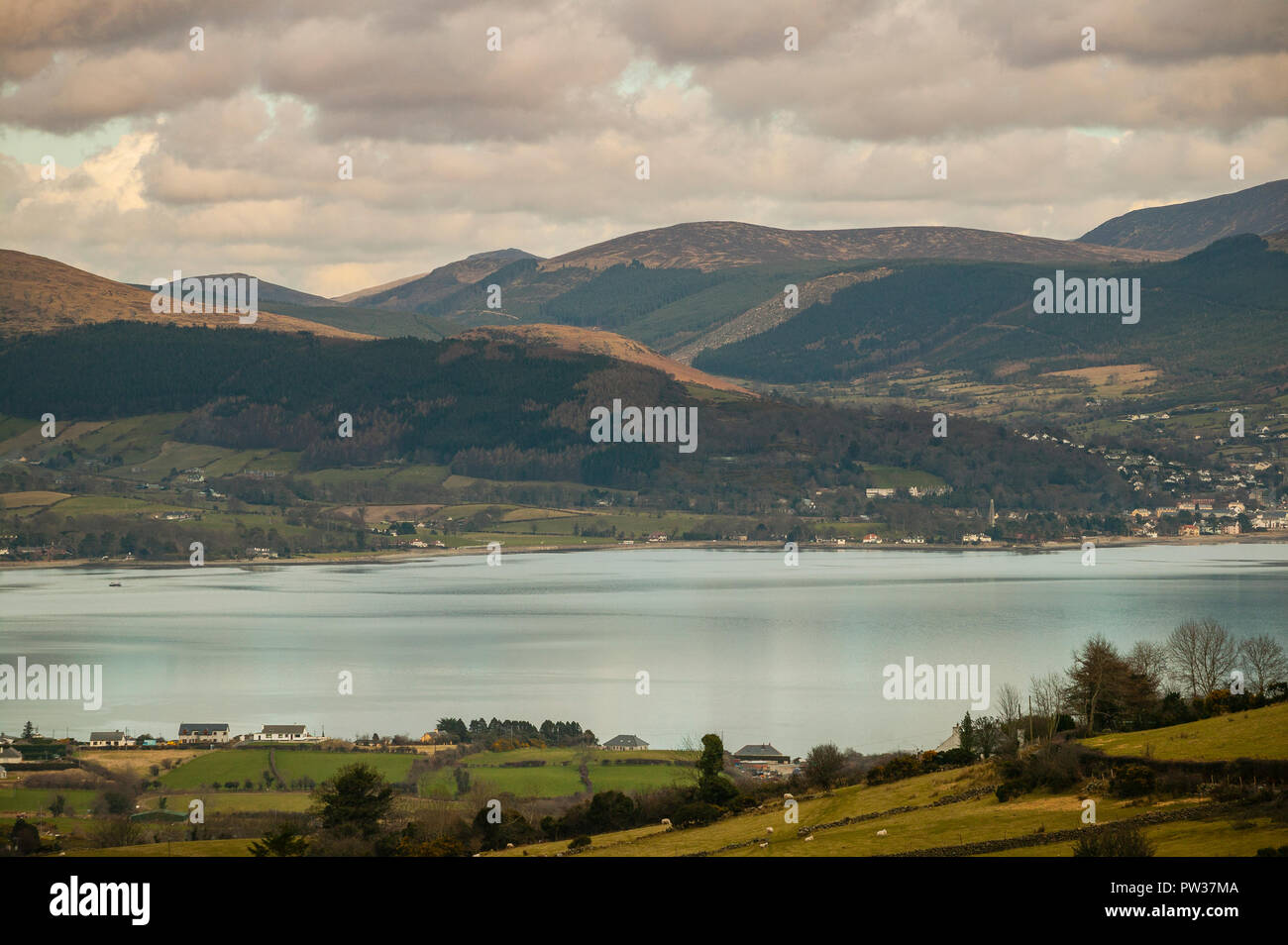 Looking across Carlingford Lough towards Rostrevor, Northern Ireland ...