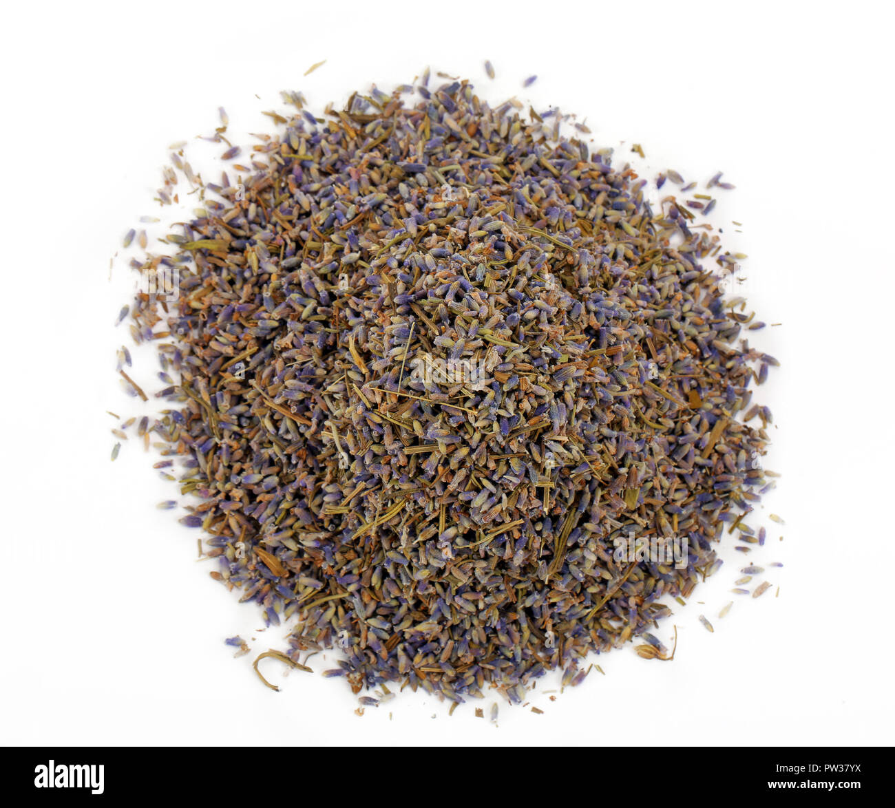 Dried lavender herb bud flower tea pile on white background Stock Photo ...