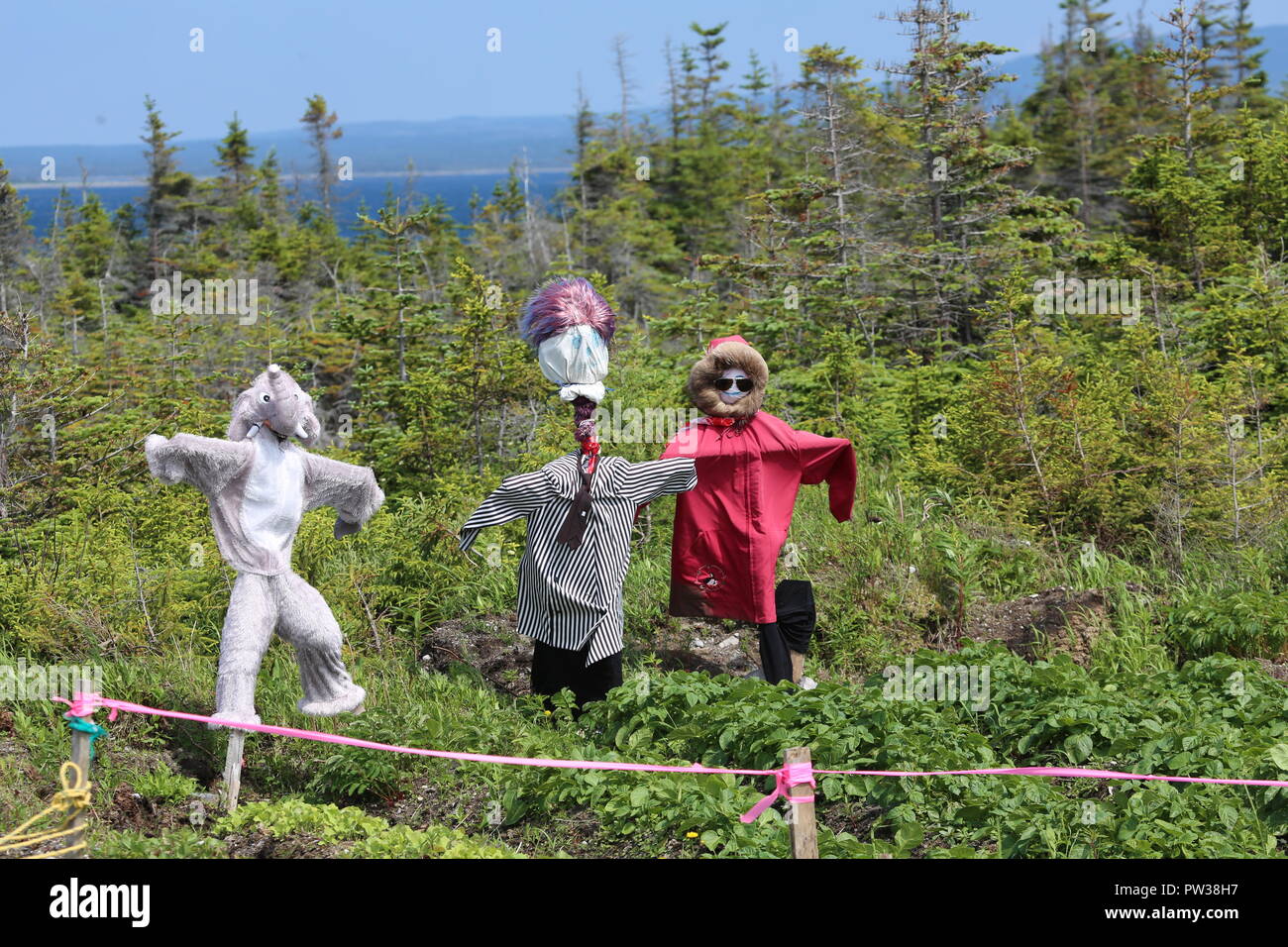funny, crazy scarecrows Stock Photo - Alamy