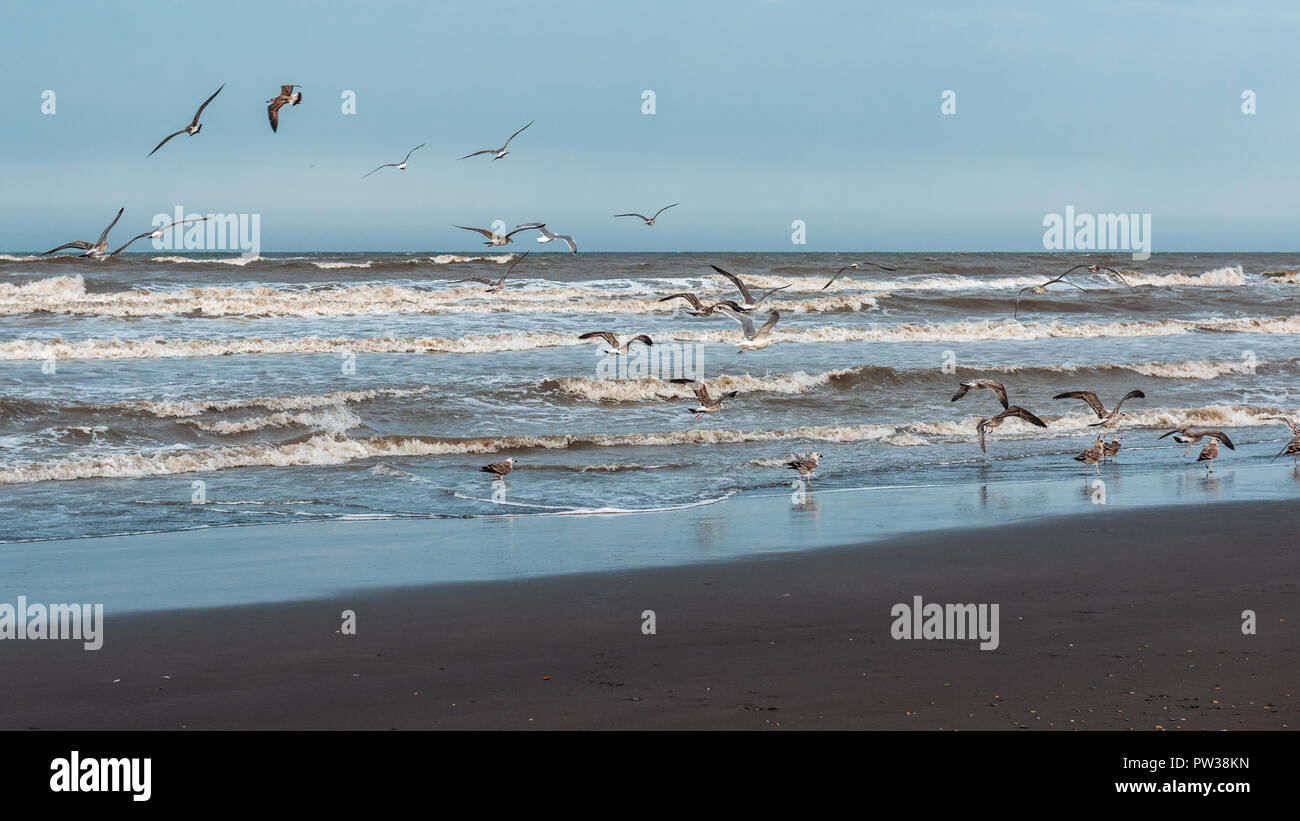 Flying over ocean shore coastal hi-res stock photography and images - Alamy