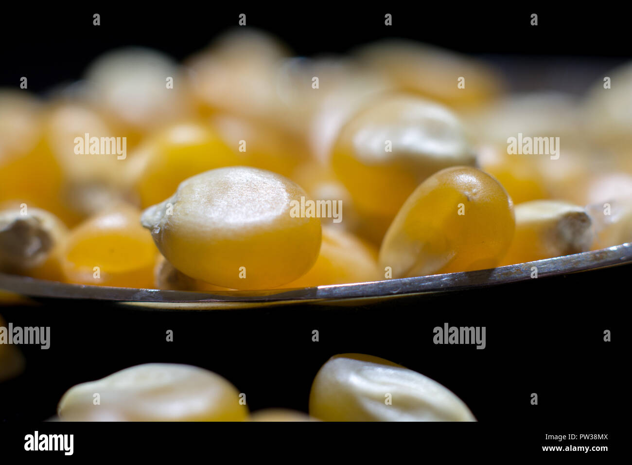 White corn kernels hi-res stock photography and images - Alamy
