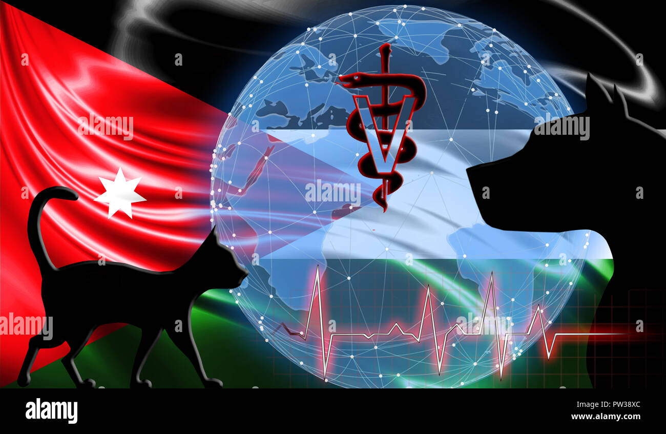Black cat and dog on the background of the flag of Jordan. Emergency ...