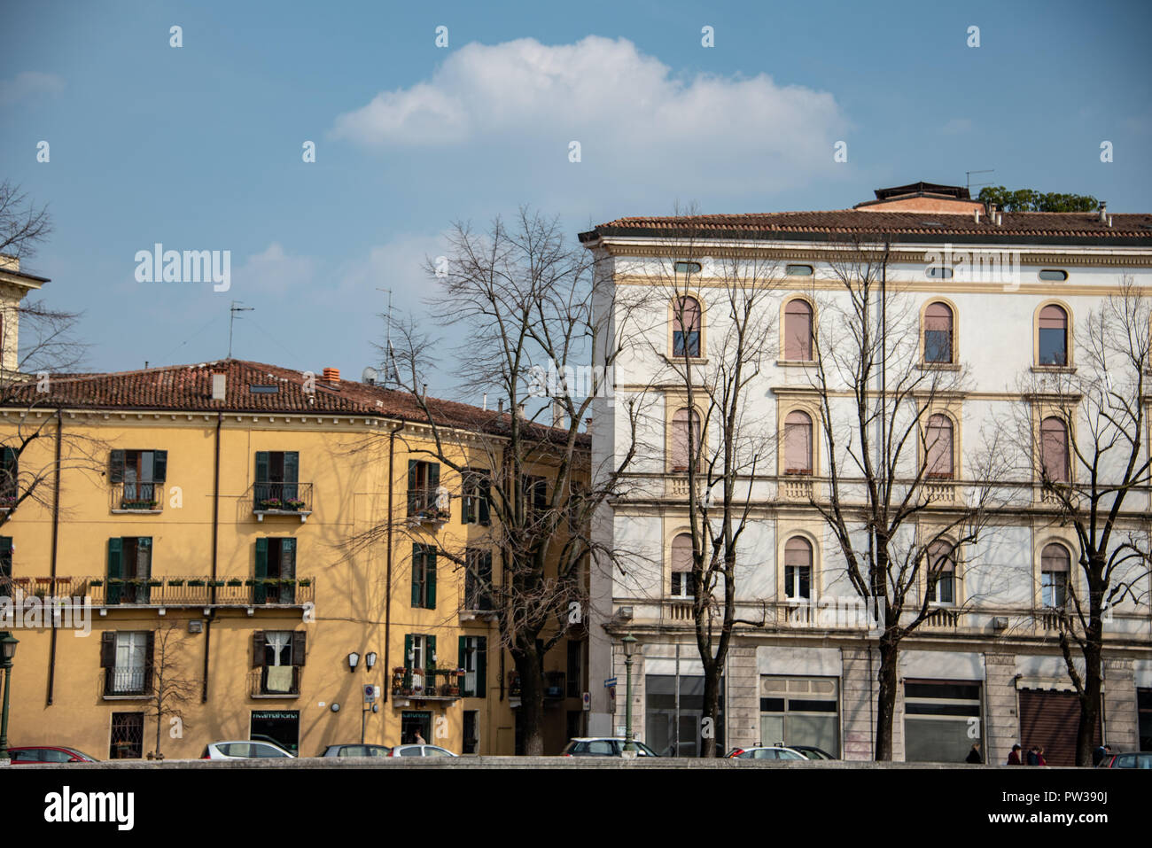 Buildings and barren trees in Verona, Italy Stock Photo - Alamy