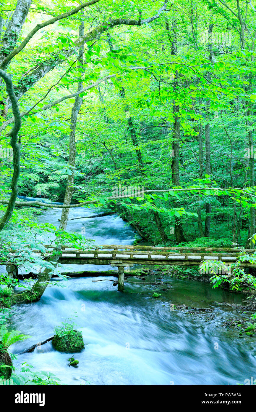 Water oirase aomori japan river hi-res stock photography and images - Alamy
