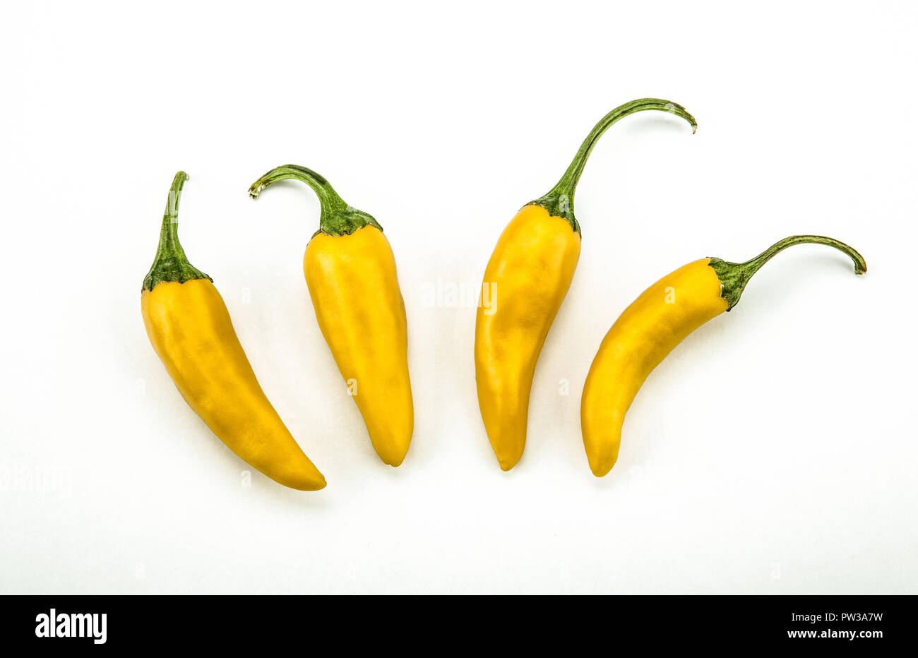 four fruits of golden fresh chilli pepper on a white background still ...