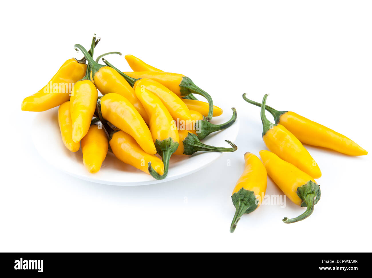 Chilli crop Cut Out Stock Images & Pictures - Alamy