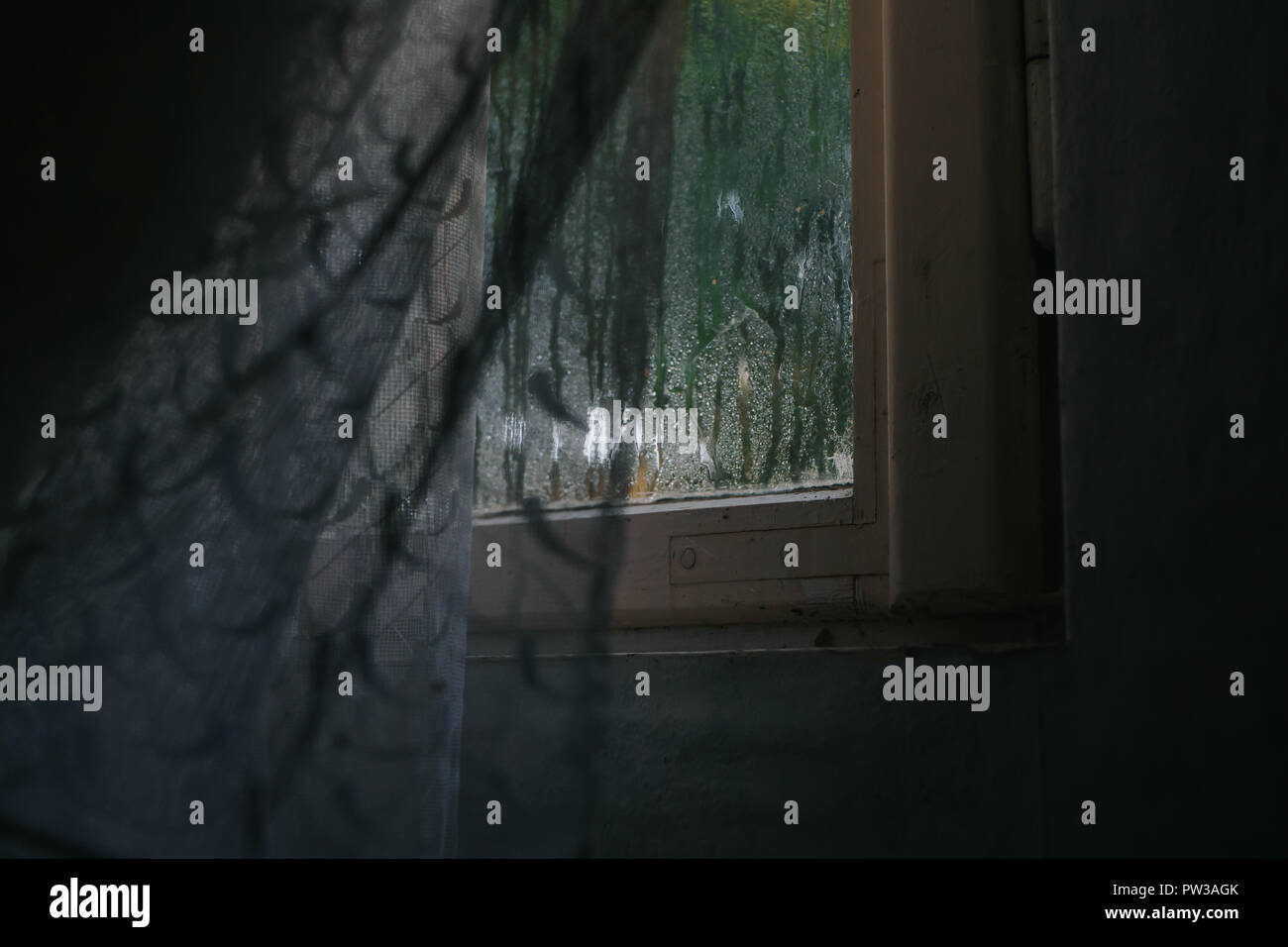 condensed water on a window Stock Photo - Alamy
