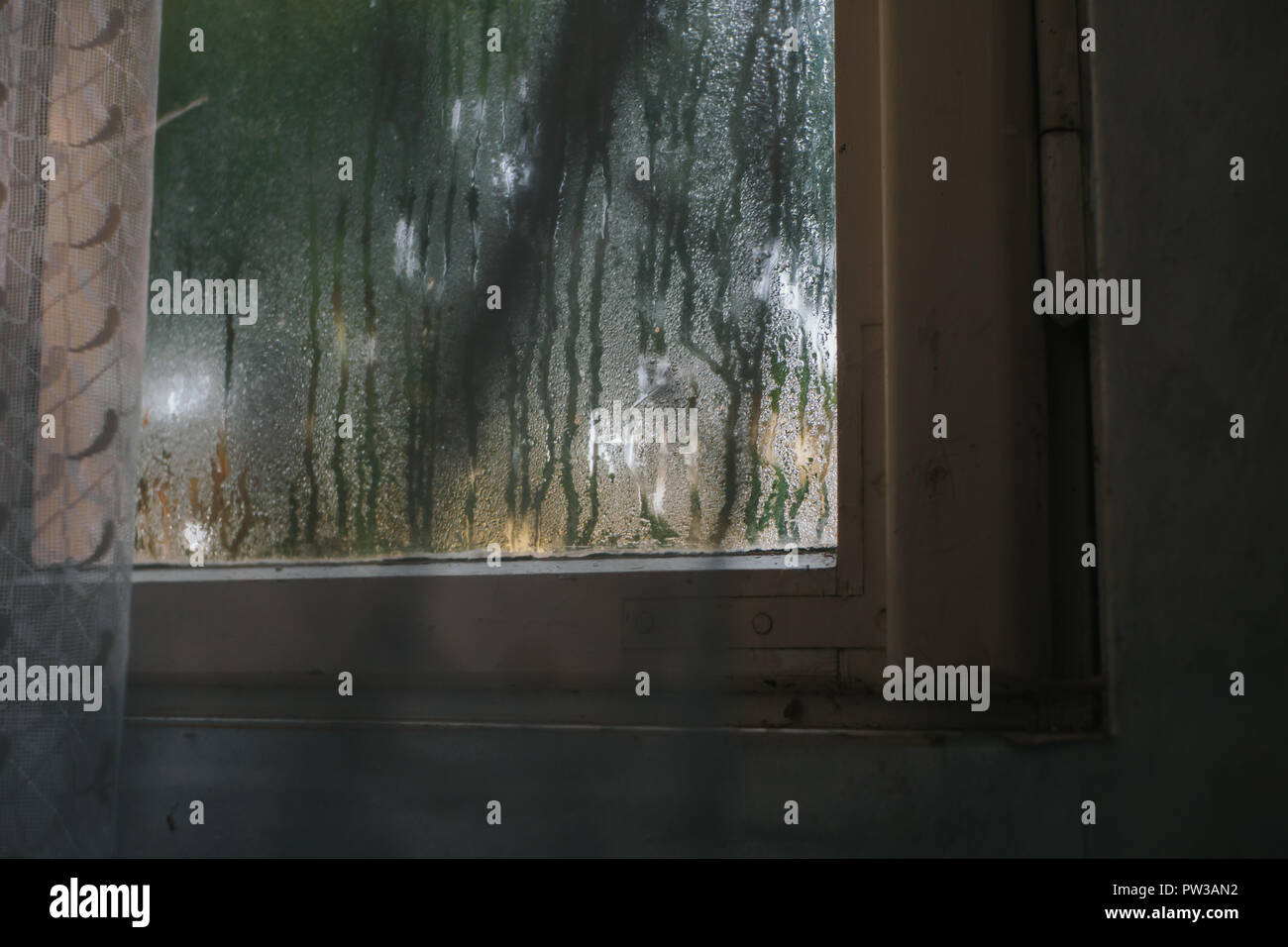 condensed water on a window Stock Photo - Alamy