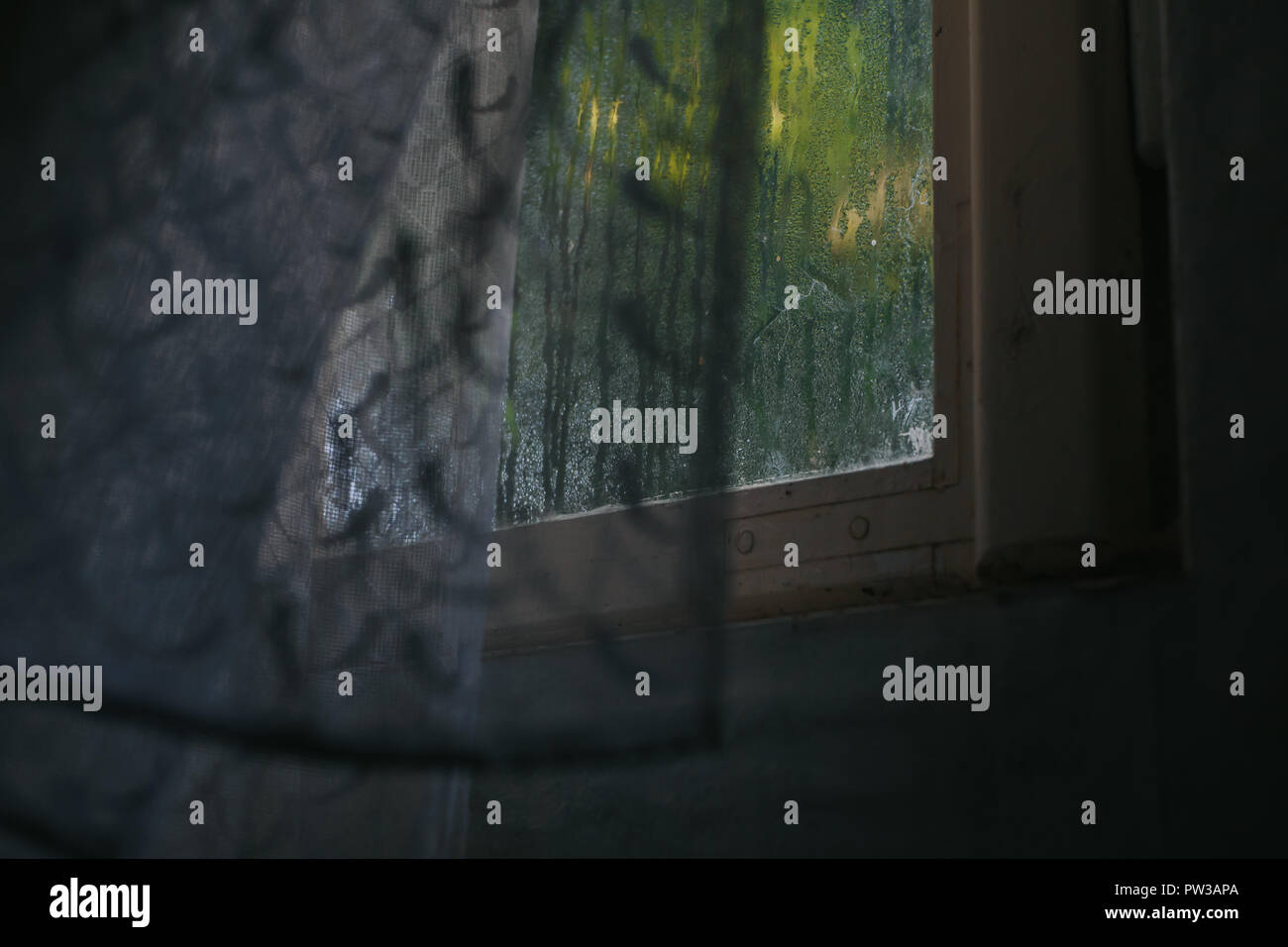 condensed water on a window Stock Photo - Alamy