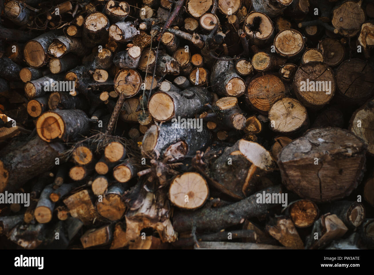 stack of timber Stock Photo - Alamy