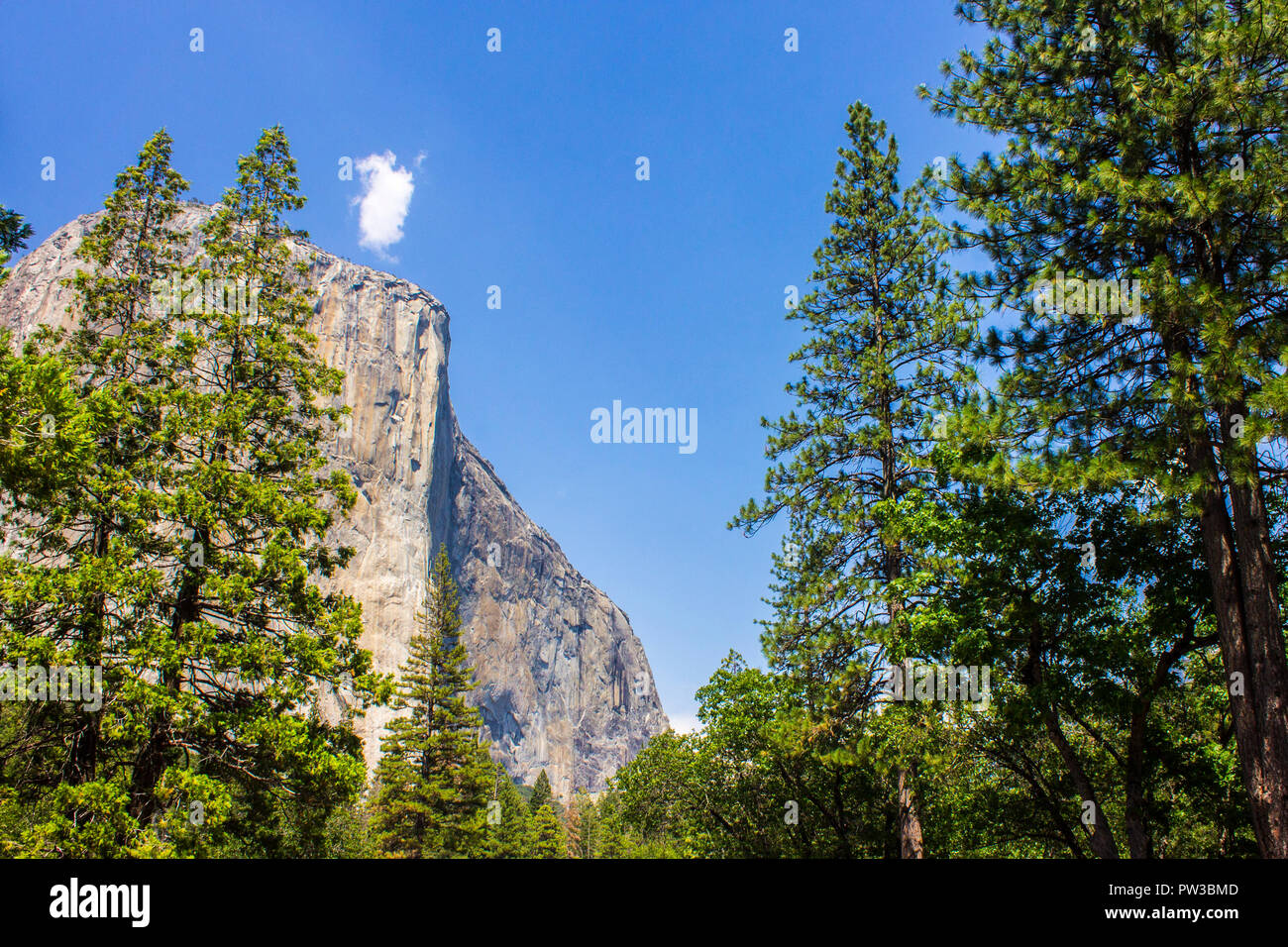 Views of El Capitan from Yosemite Valley. Yosemite National Park ...