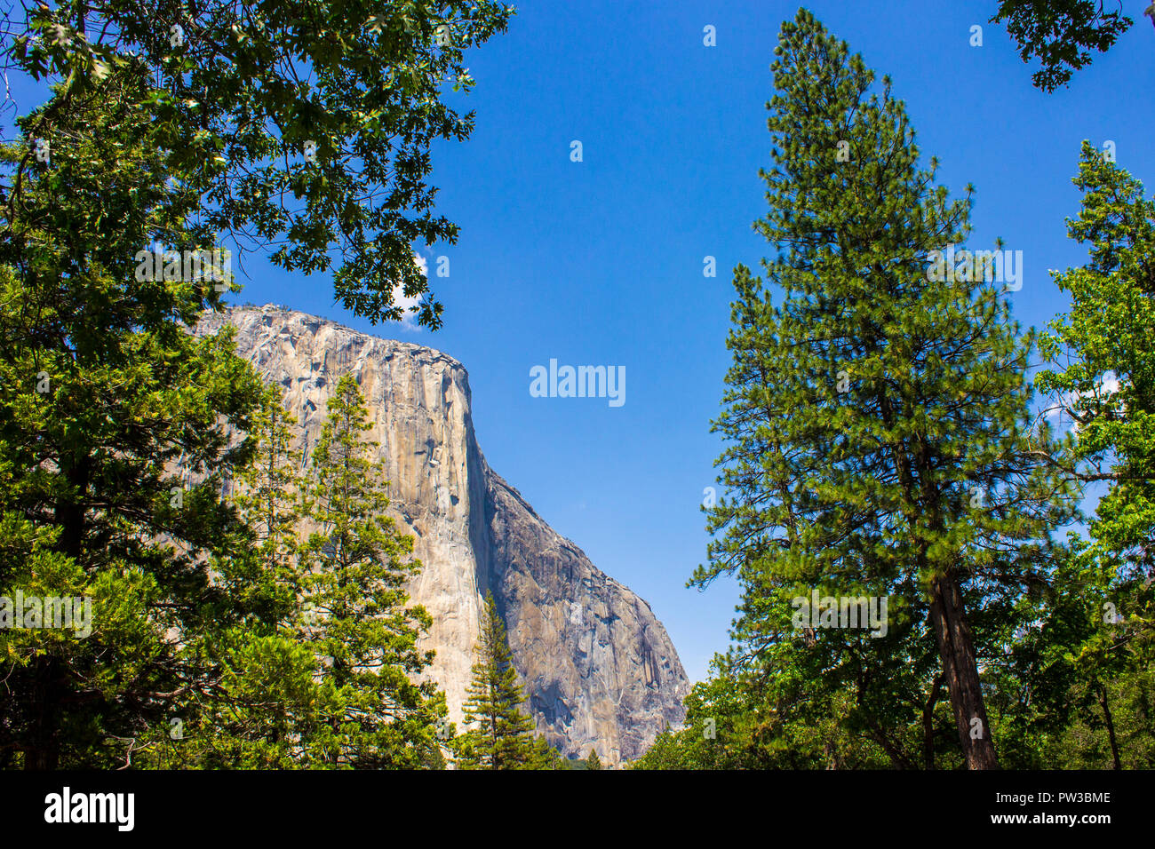 Views of El Capitan from Yosemite Valley. Yosemite National Park ...