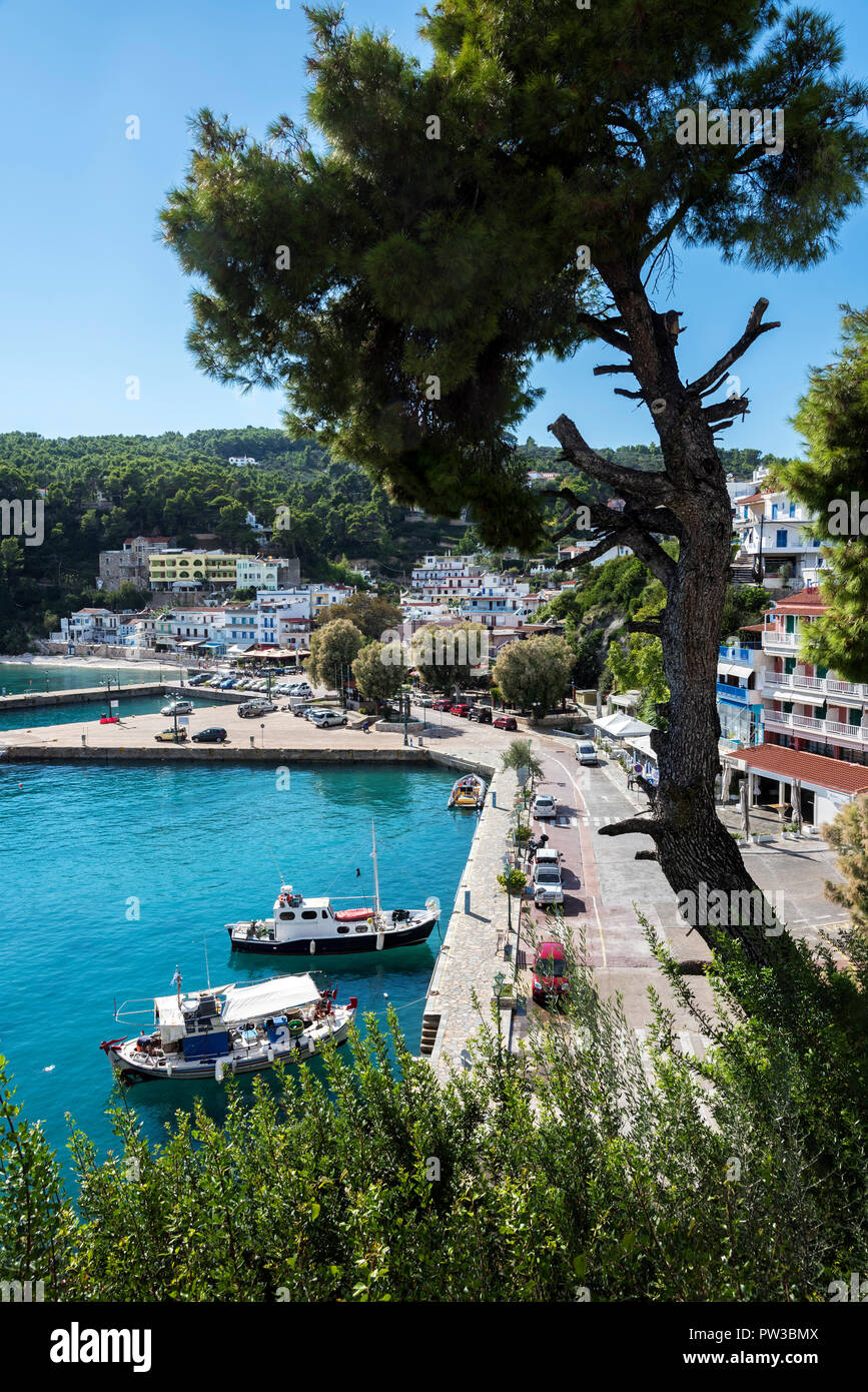 Patitiri Harbour, Alonissos, Northern Sporades Greece Stock Photo - Alamy