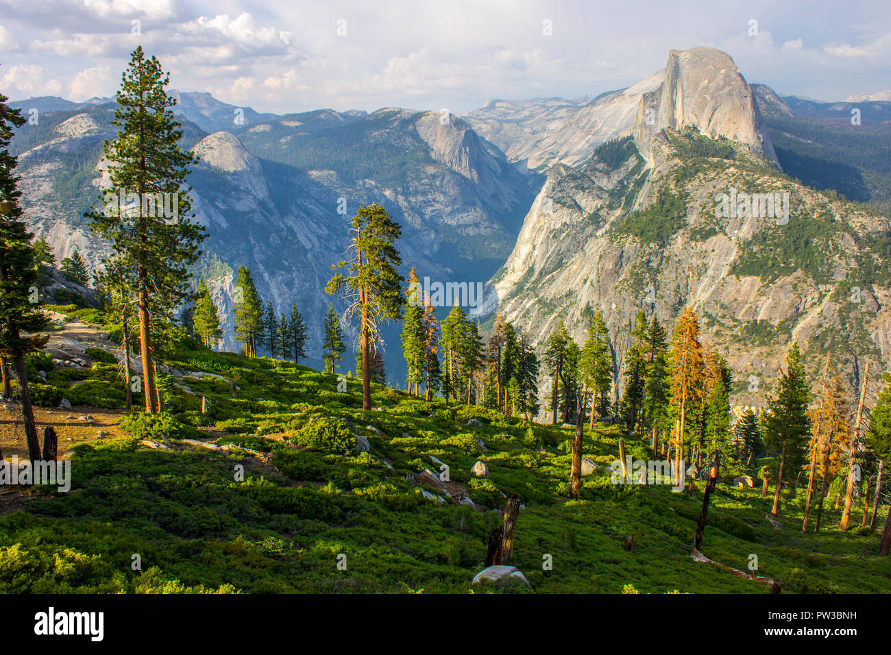 Views of the Half Dome and Yosemite Valley from the Washburn Point ...